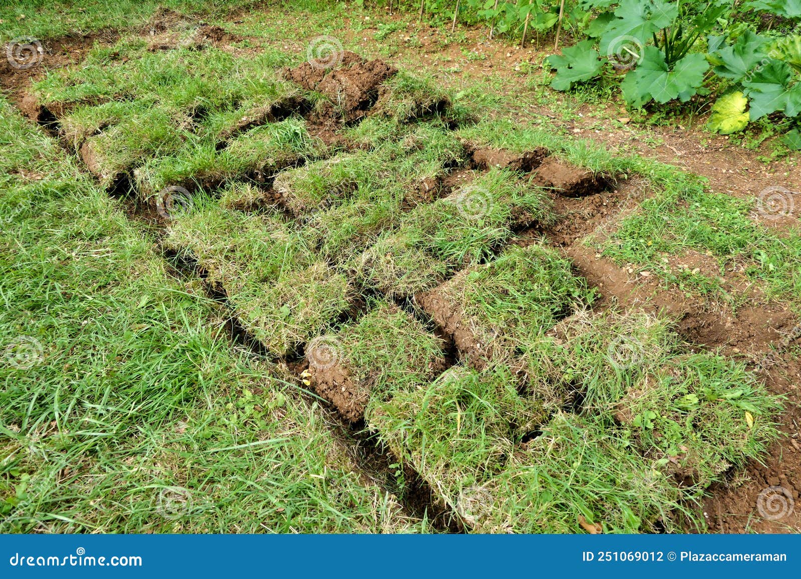 Cut Turf stock photo. Image of surface, landscape, gardening - 251069012