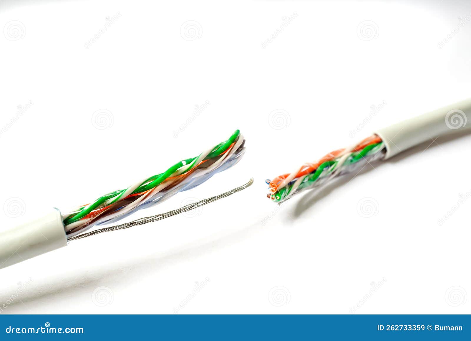 Cut Up White Network Cable or Patch Cable in Cross Section Stock Image ...