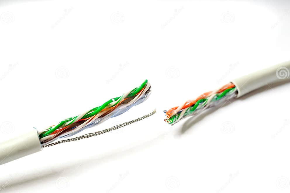 Cut Up White Network Cable or Patch Cable in Cross Section Stock Image ...
