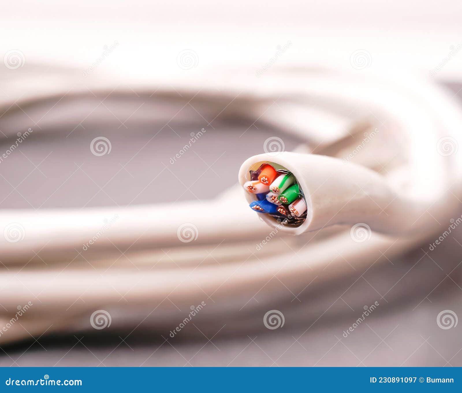 Cut Up White Network Cable or Patch Cable in Cross Section Stock Image ...