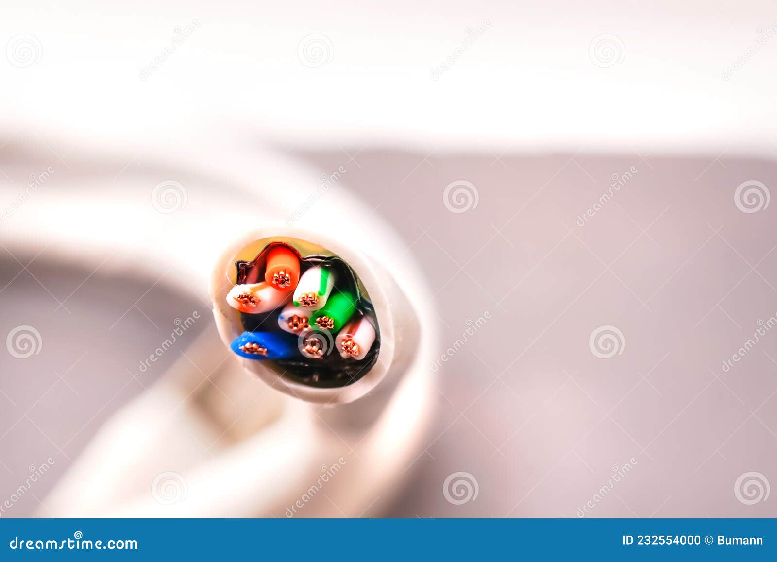 Cut Up White Network Cable or Patch Cable in Cross Section Stock Photo ...