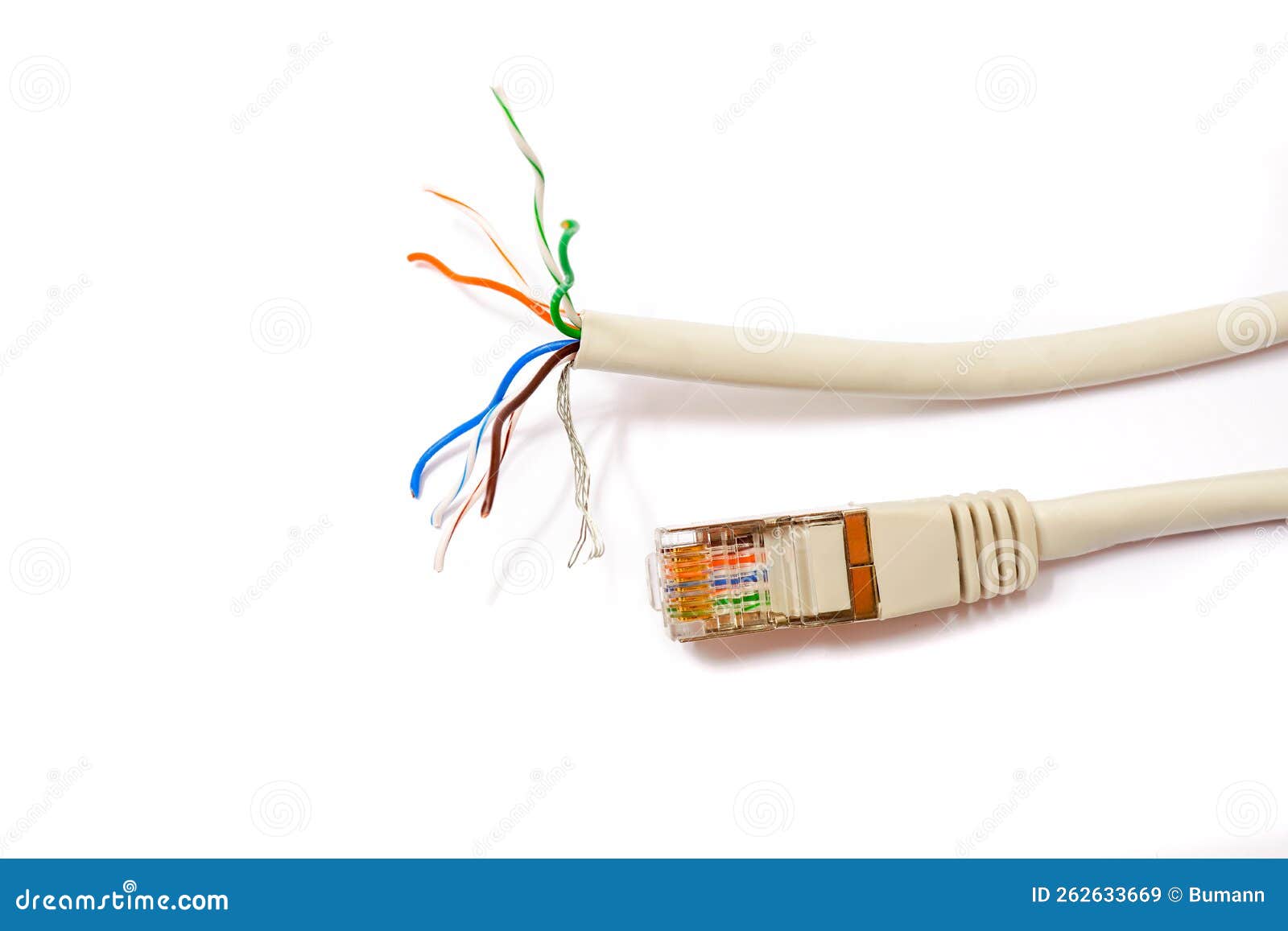 Cut Up White Network Cable or Patch Cable in Cross Section Stock Image ...