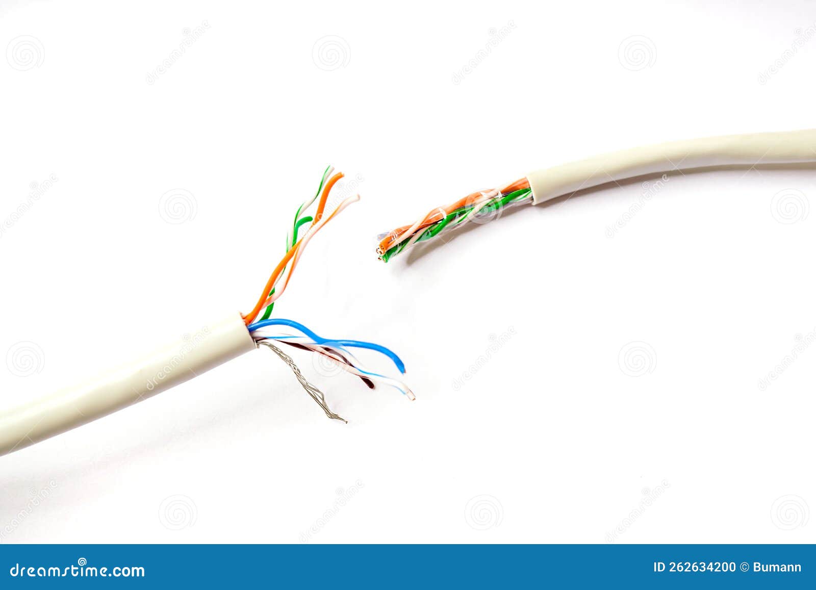 Cut Up White Network Cable or Patch Cable in Cross Section Stock Photo ...