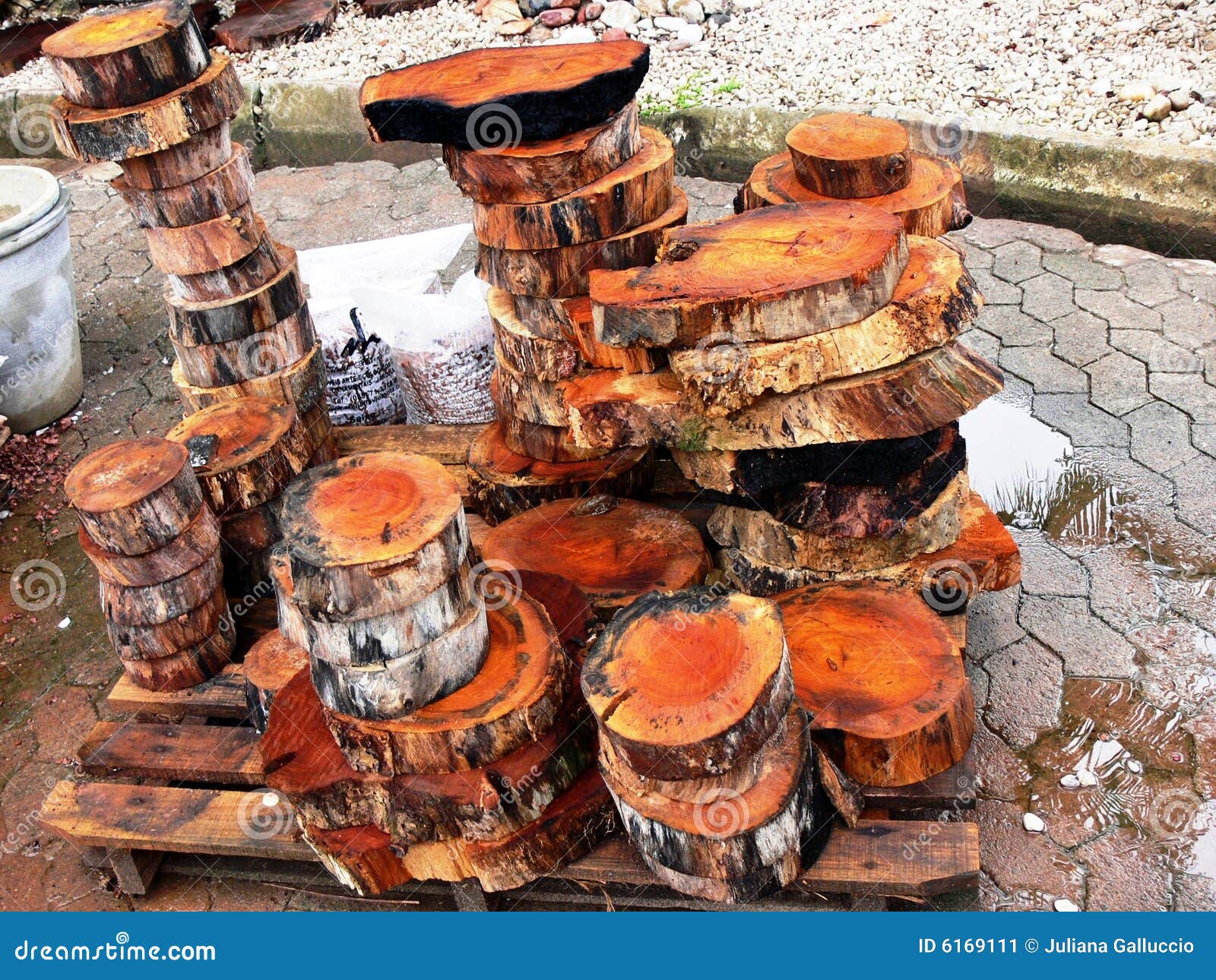 Cut wood stock image. Image of chopped, stack, slices - 6169111