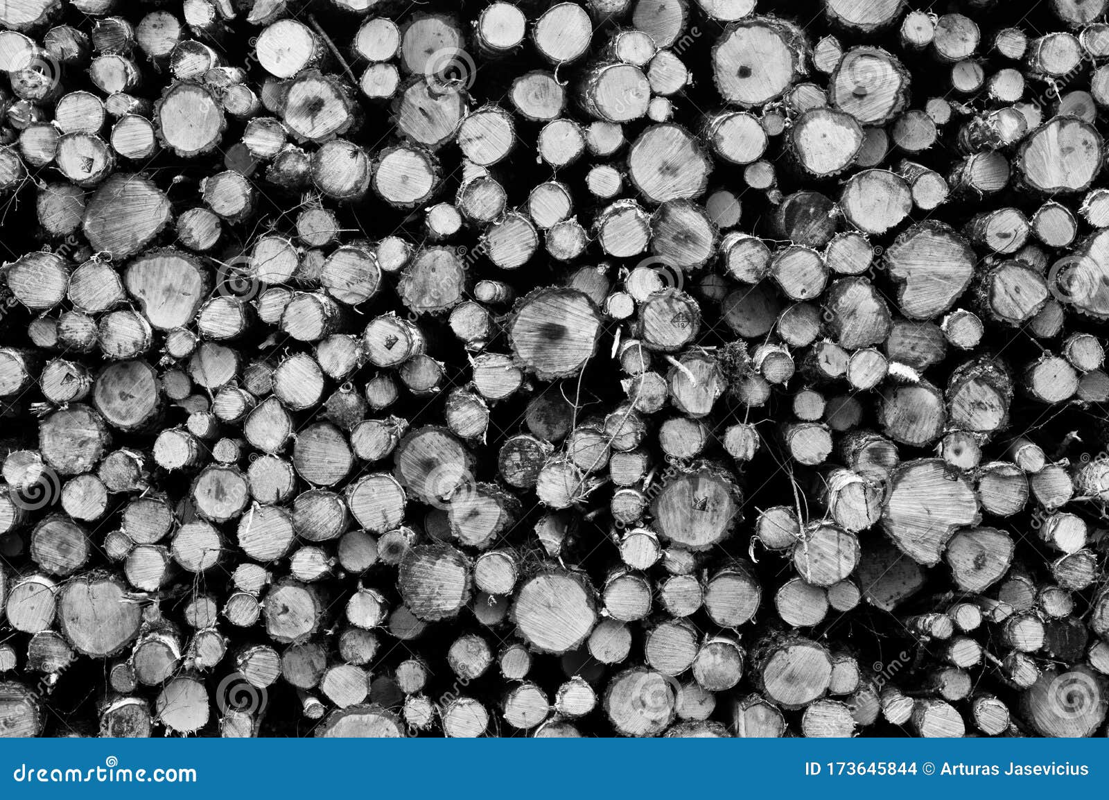 Pile of wood stock photo. Image of abstract, stack, lumber - 173645844