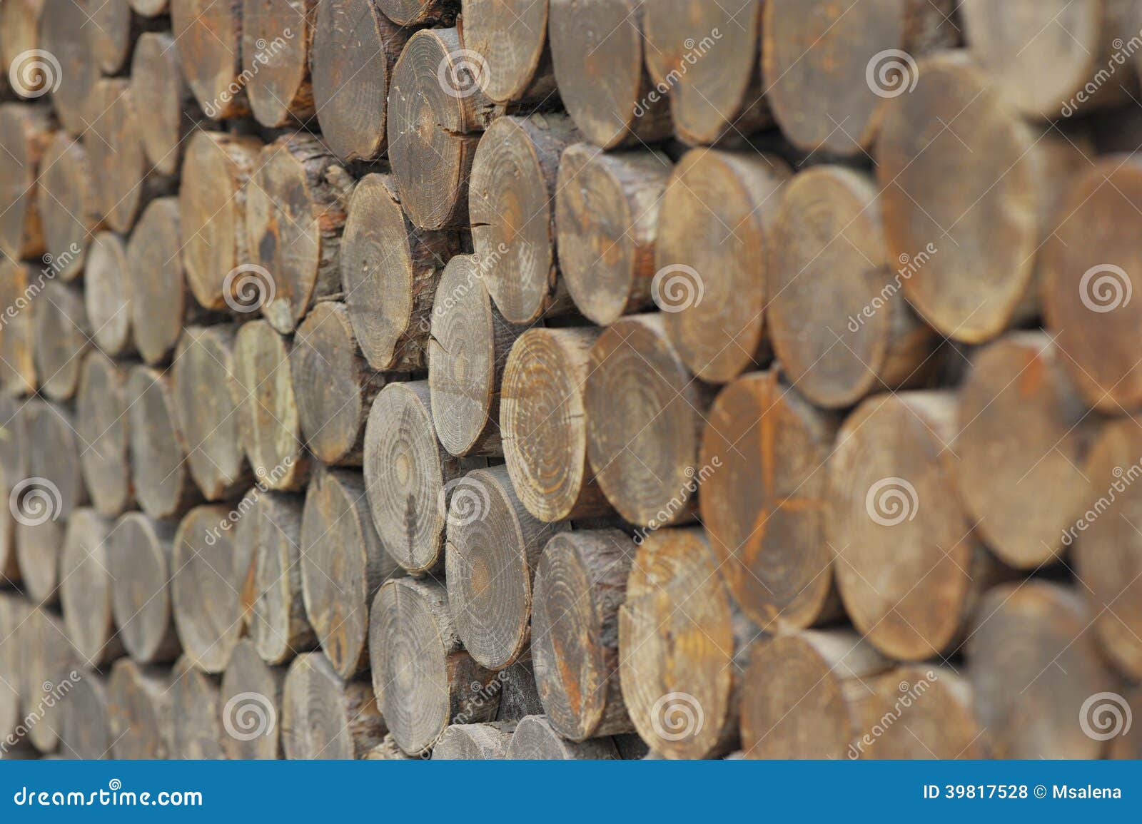 Cut Wood stock photo. Image of pile, fire, wood, settle - 39817528