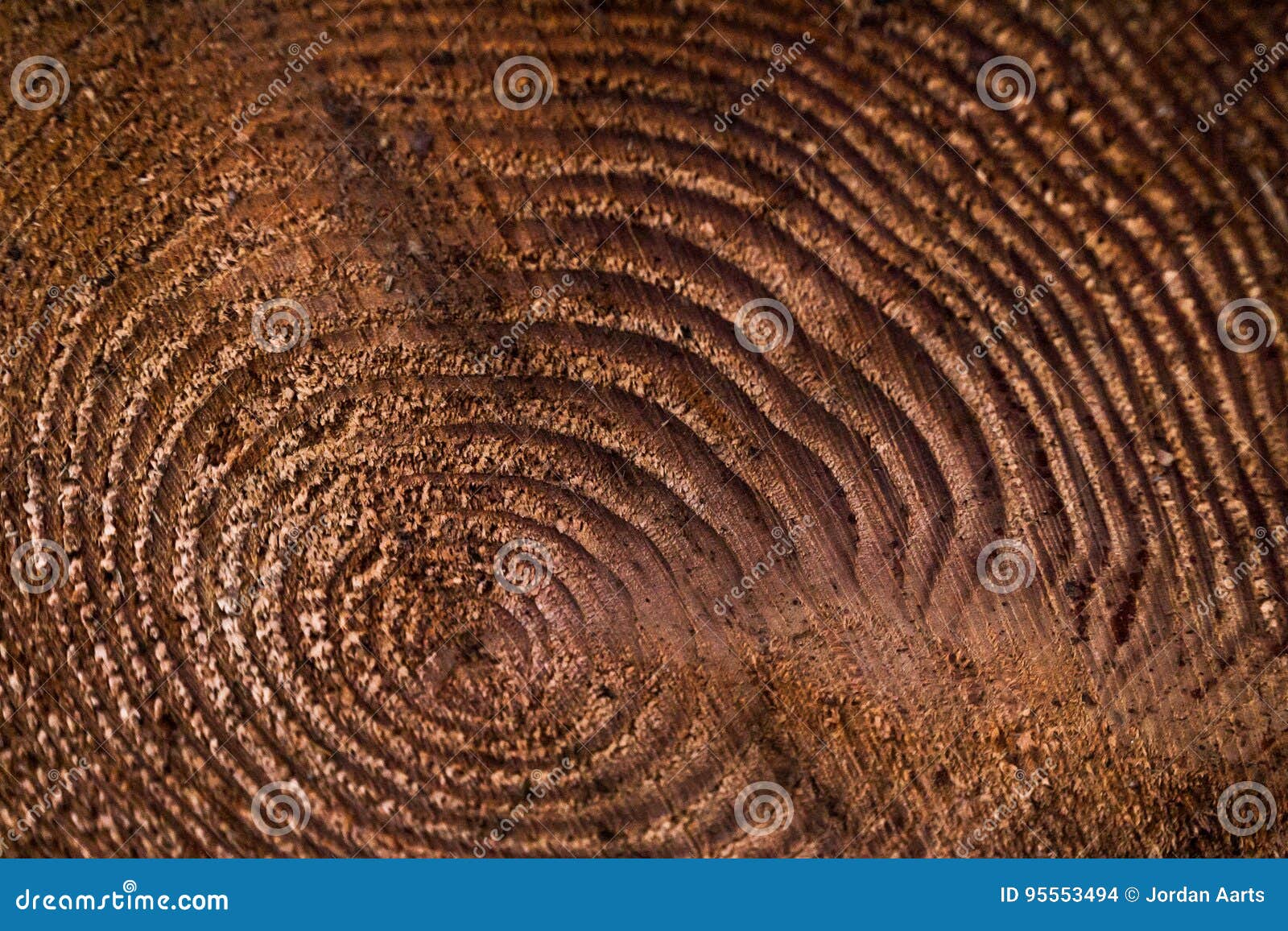 Cut Wood stock photo. Image of lumber, lines, timber - 95553494