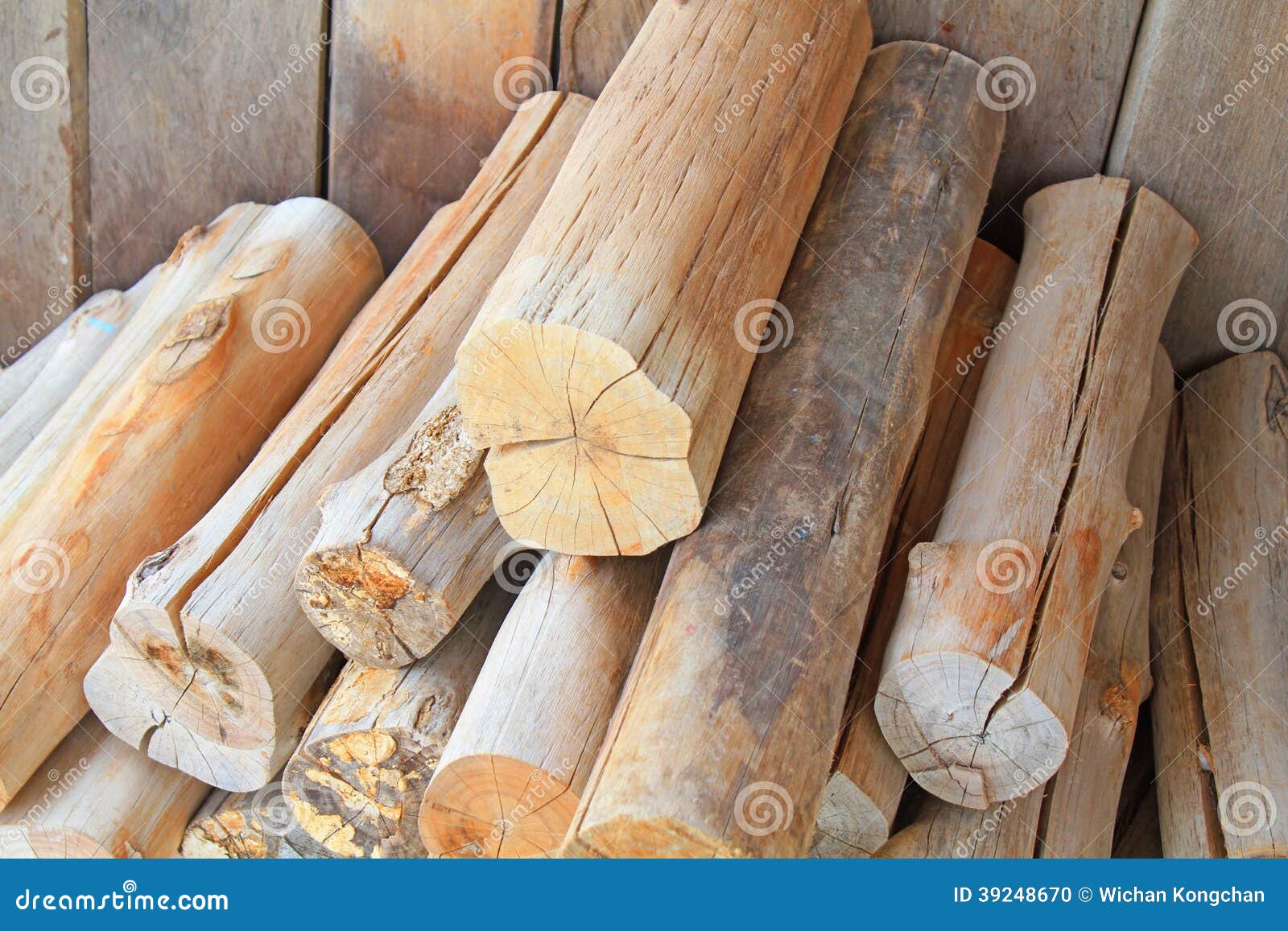 Cut wood in the forests. stock photo. Image of firewood - 39248670