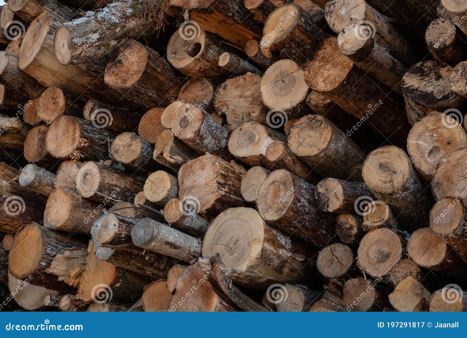 Timber Logs in a Huge Stack Stock Image - Image of lumber, storage ...