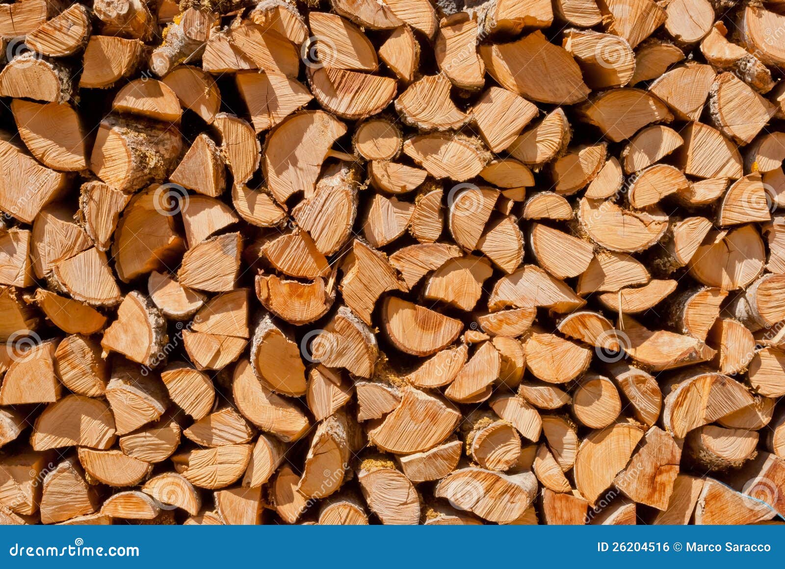 Cut wood pile stock photo. Image of wooden, wood, forest - 26204516