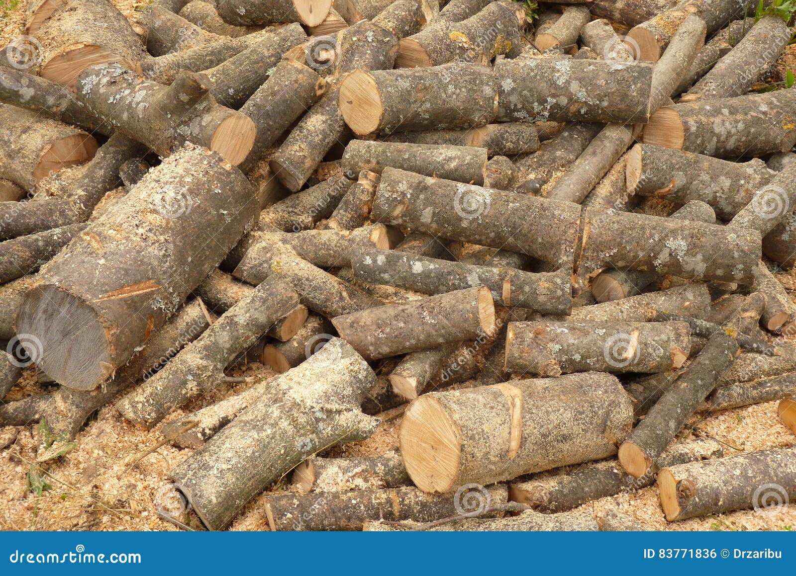 Cut wood stock photo. Image of lumber, recycling, energy - 83771836