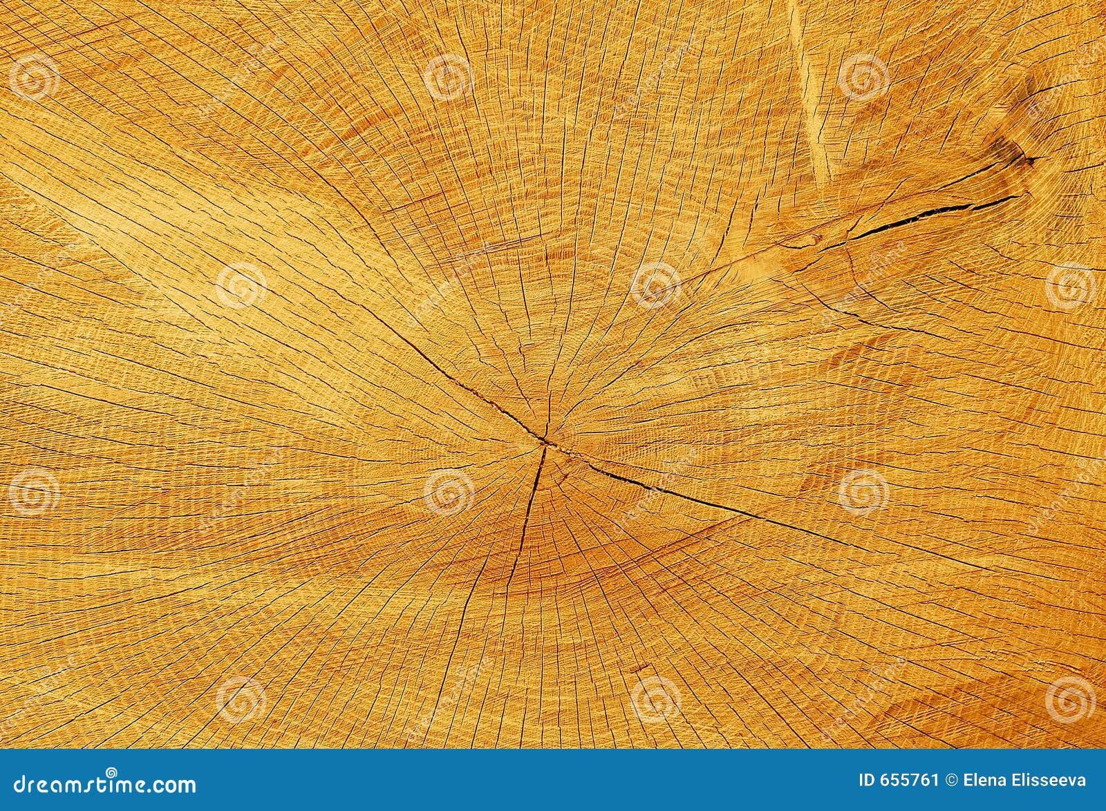 Cut wood texture stock image. Image of background, close - 655761