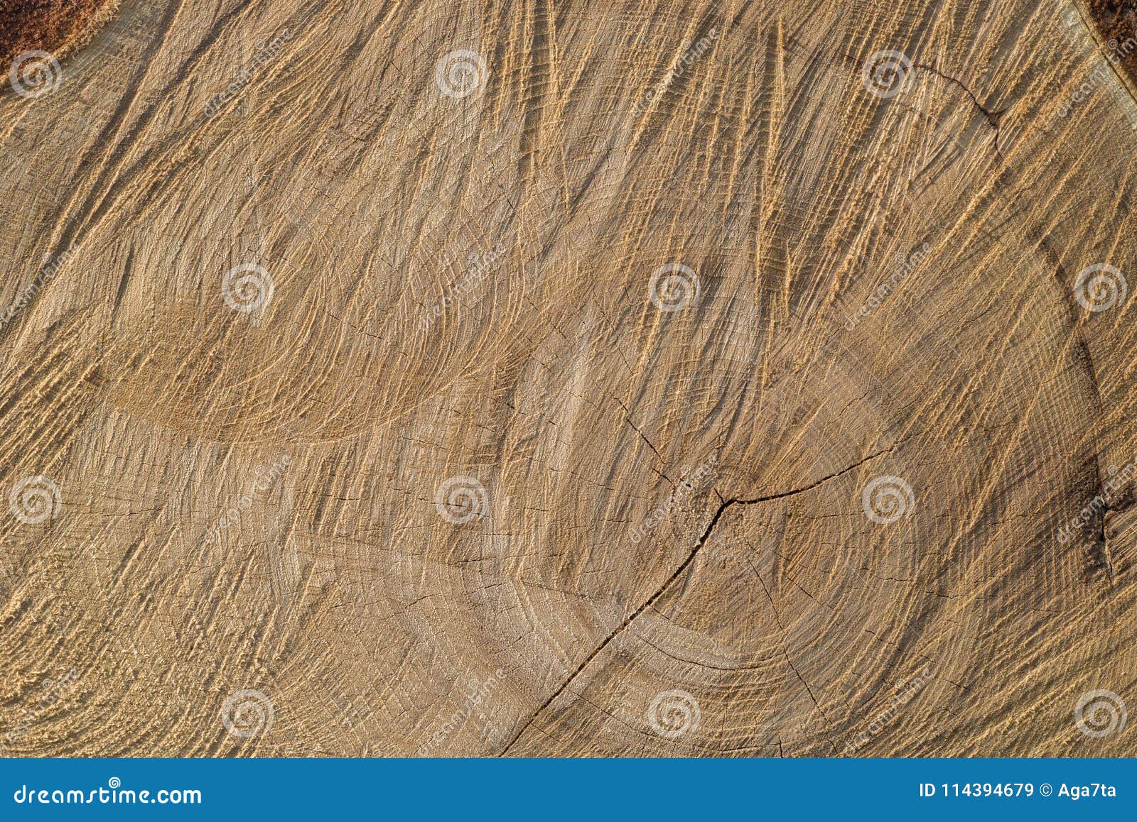 Cut Wood Texture Background Stock Image - Image of brown, cross: 114394679