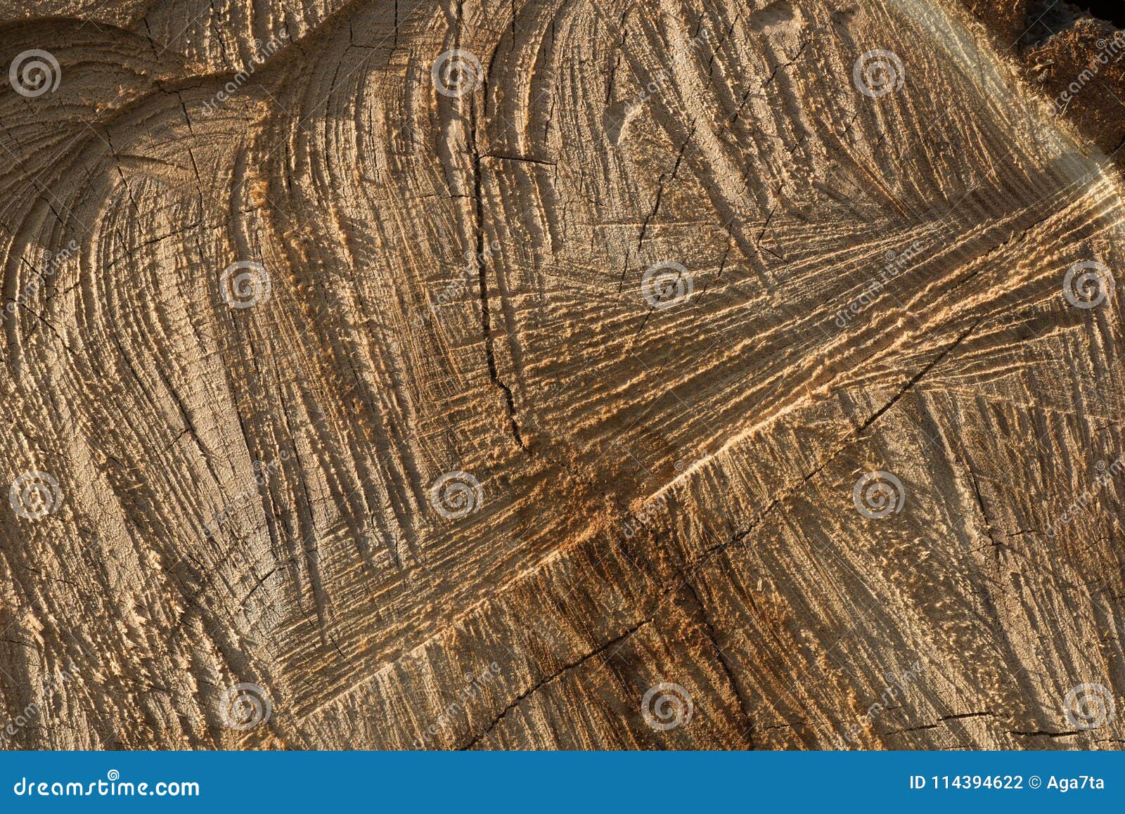 Cut Wood Texture Background Stock Photo - Image of circle, aged: 114394622