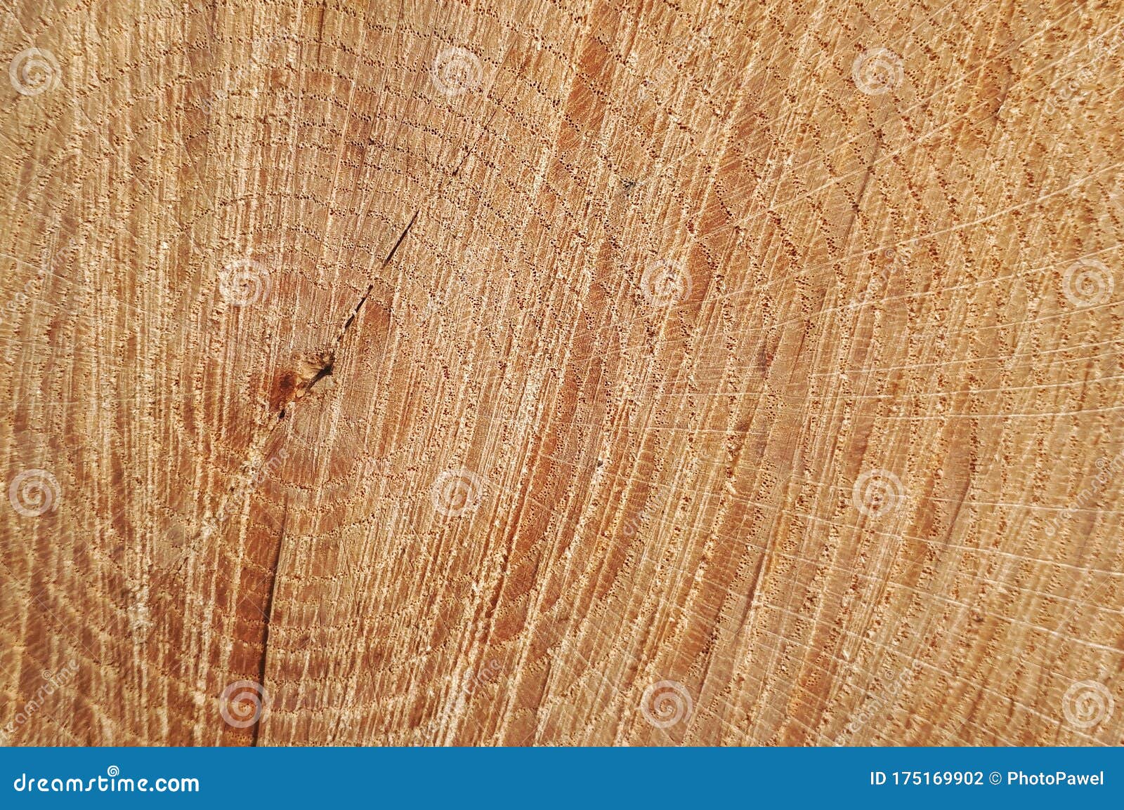 Cut Wood Texture Background Stock Photo - Image of material, wood ...