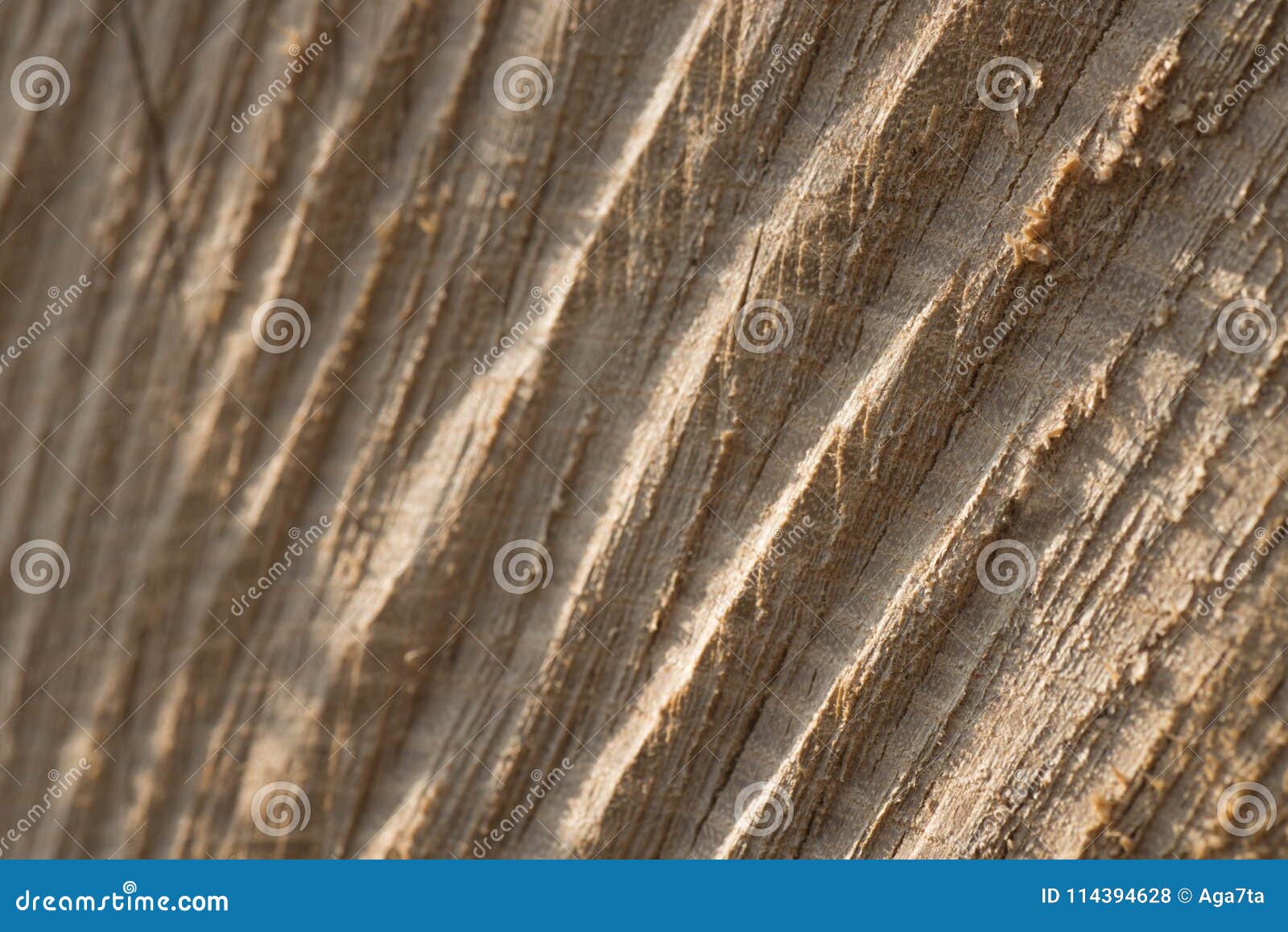 Cut Wood Texture Background Selective Focus Stock Photo - Image of ...