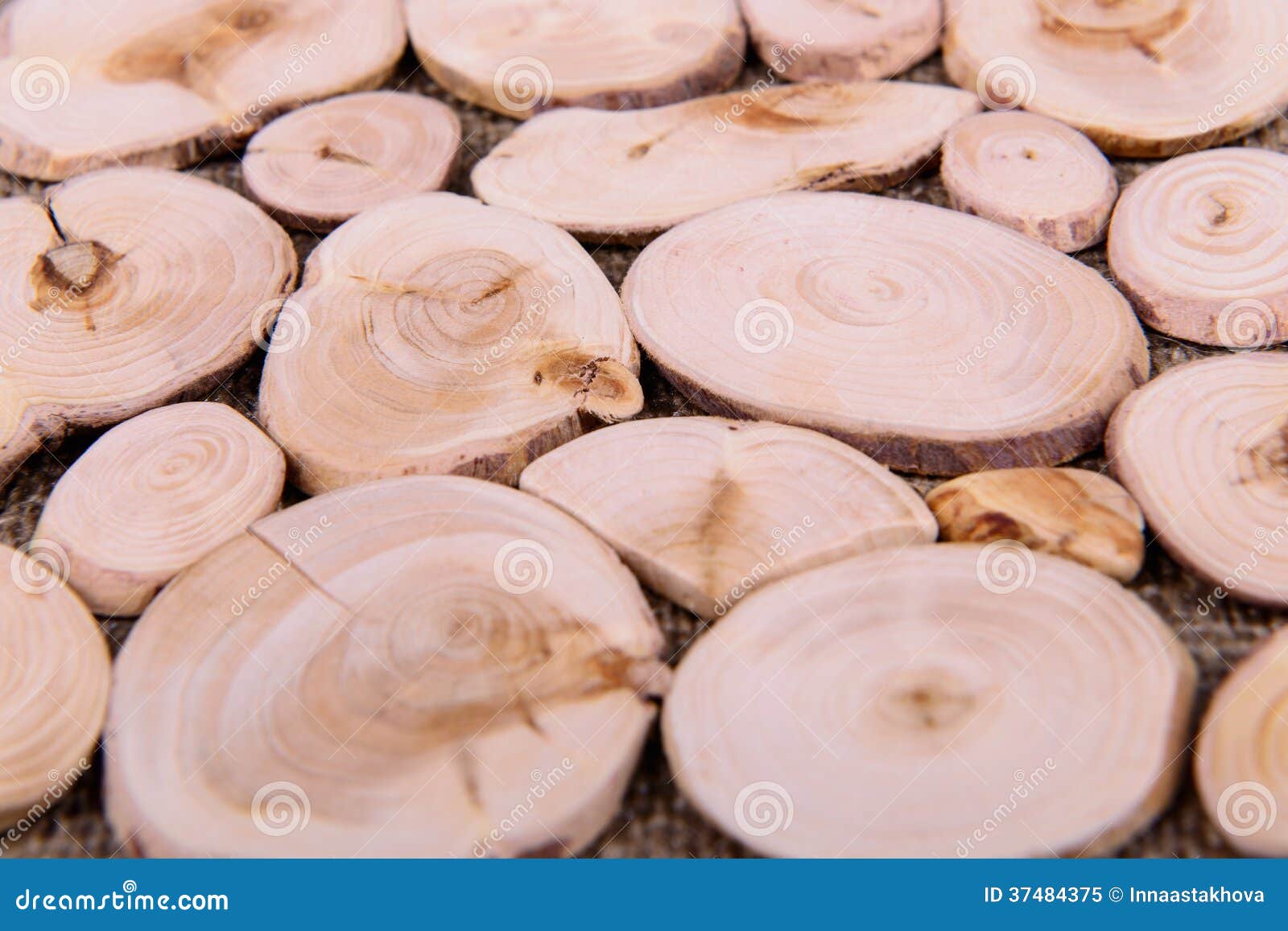 Cut wood texture stock image. Image of natural, nature - 37484375