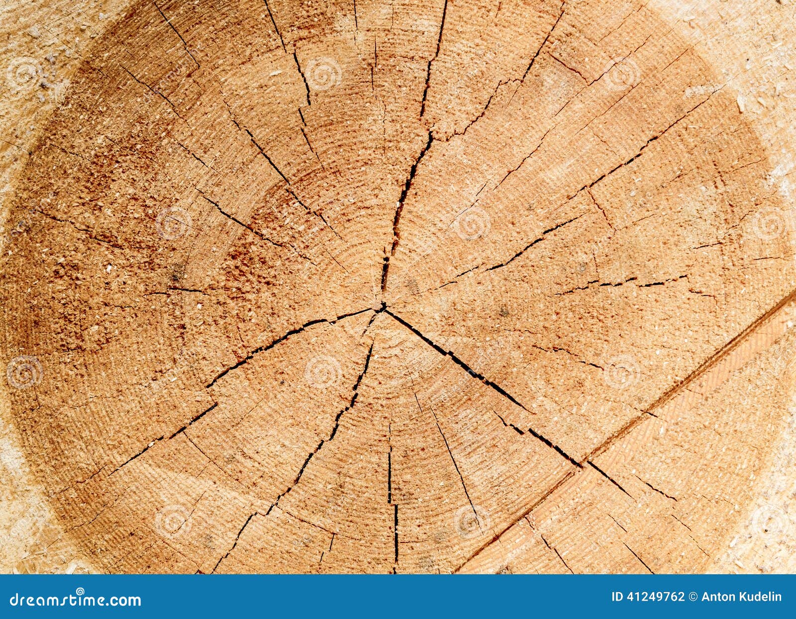 The Cut Wood, the Texture of the Wood Stock Photo - Image of crack ...