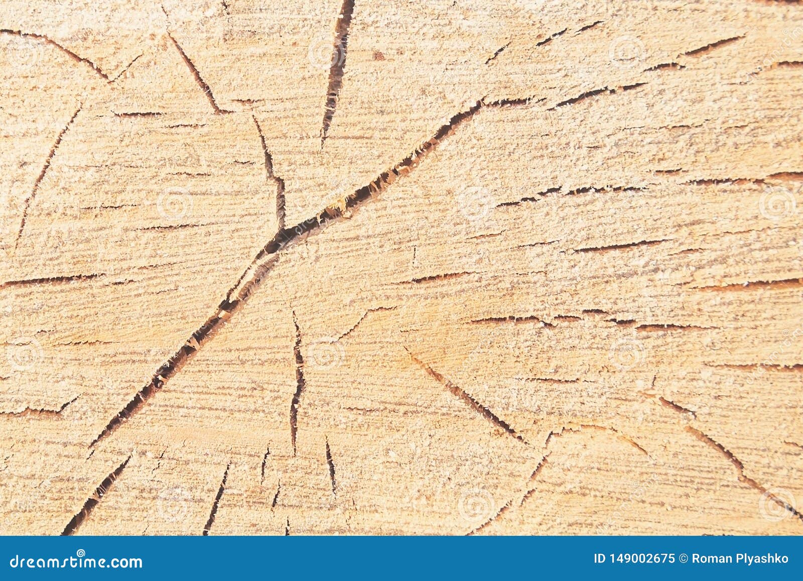 Cut the wood. Wood texture stock image. Image of great - 149002675