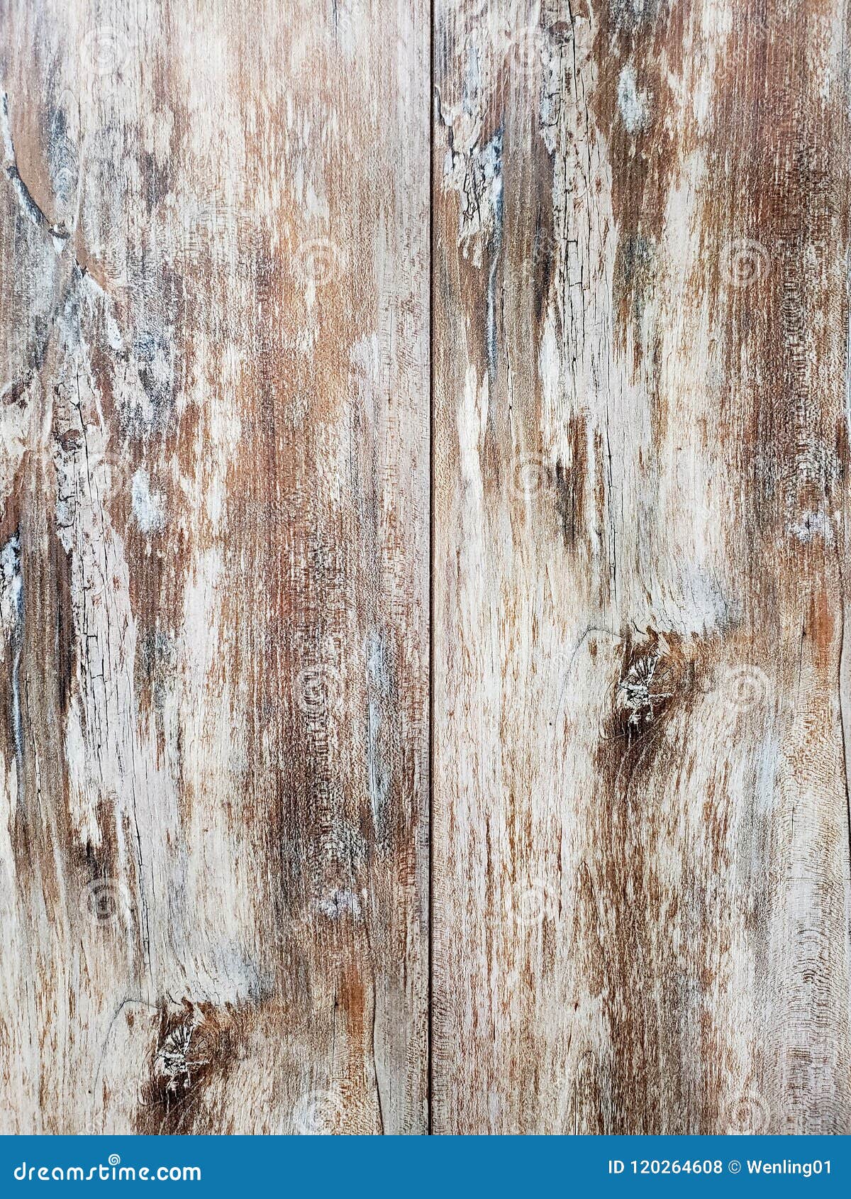 Cut Wood Textures and Background Stock Photo - Image of case, arranged ...