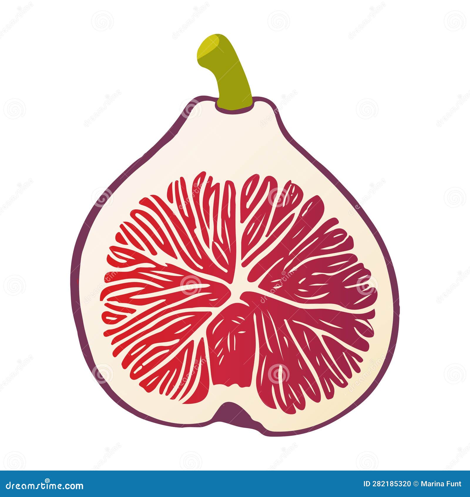 Cutaway Fig Icon. Fruit Gradient Icon, Sign, Bright Fig for Web or Logo ...