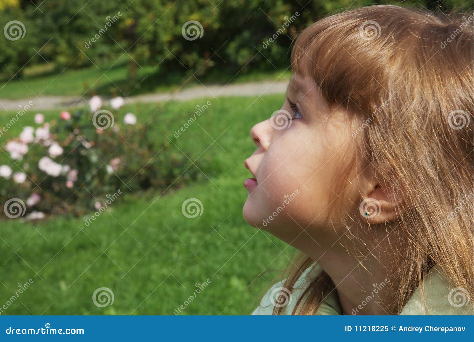 Cute 4 years old girl stock image. Image of pink, happiness - 11218225