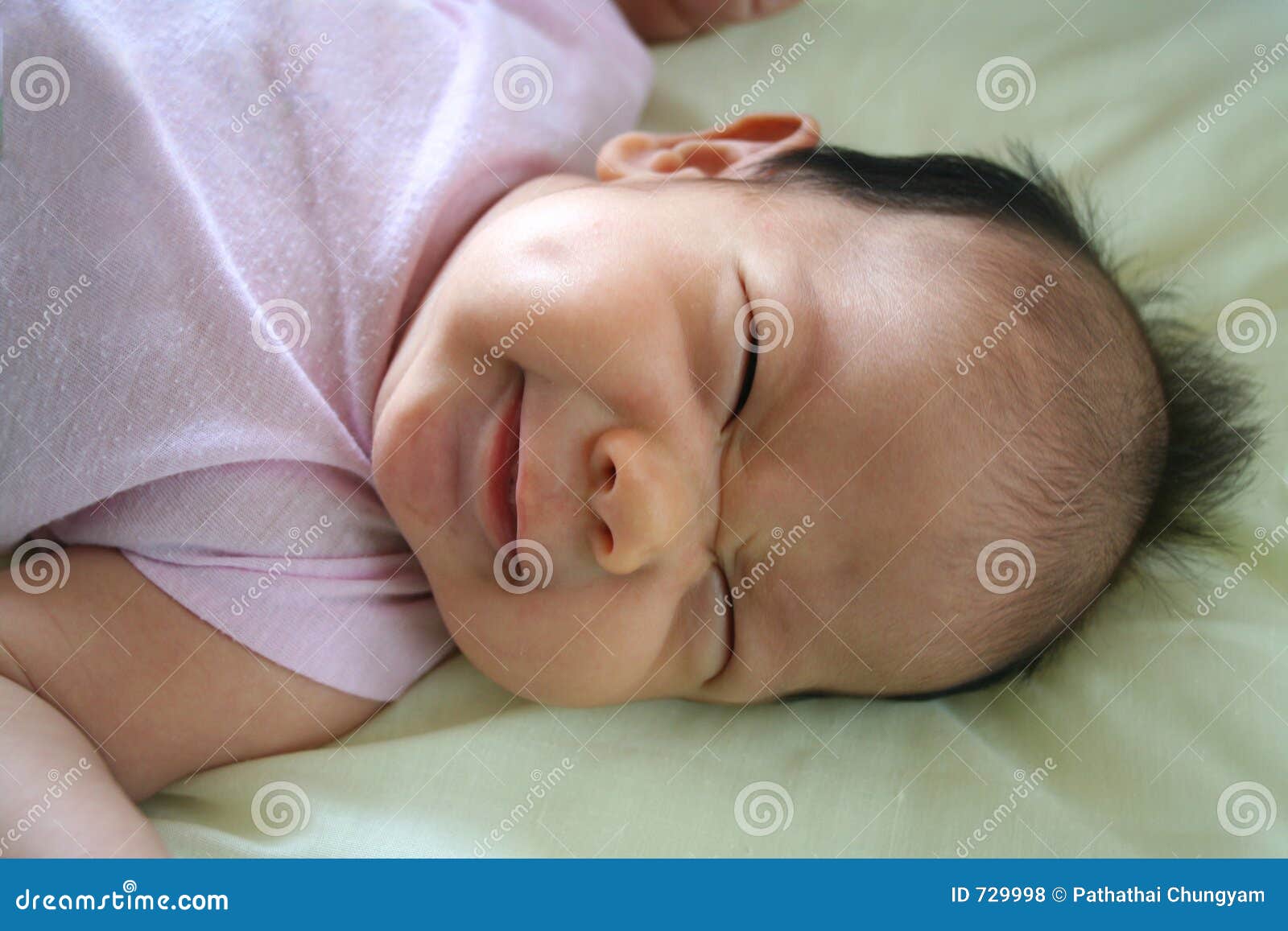 So cute! stock photo. Image of cheeky, resting, pure, nose - 729998