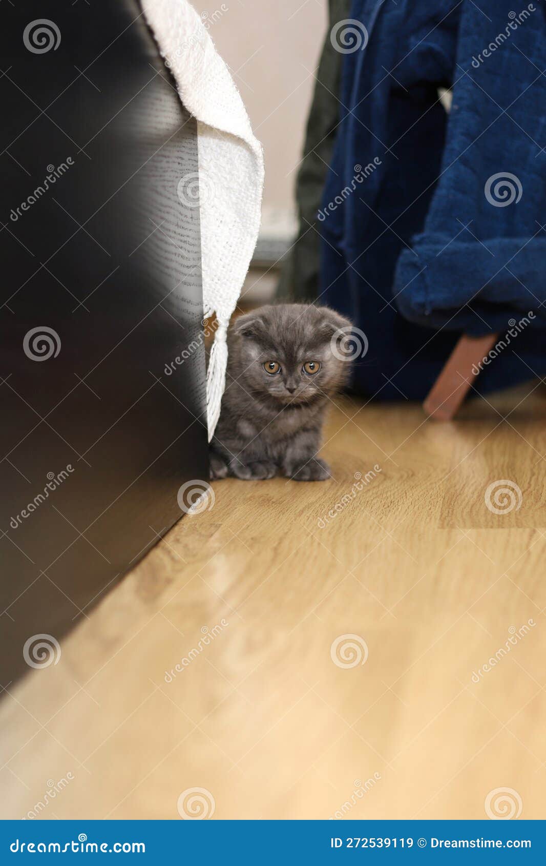 Scary Human Skull On The Tree Royalty-Free Stock Photo | CartoonDealer ...