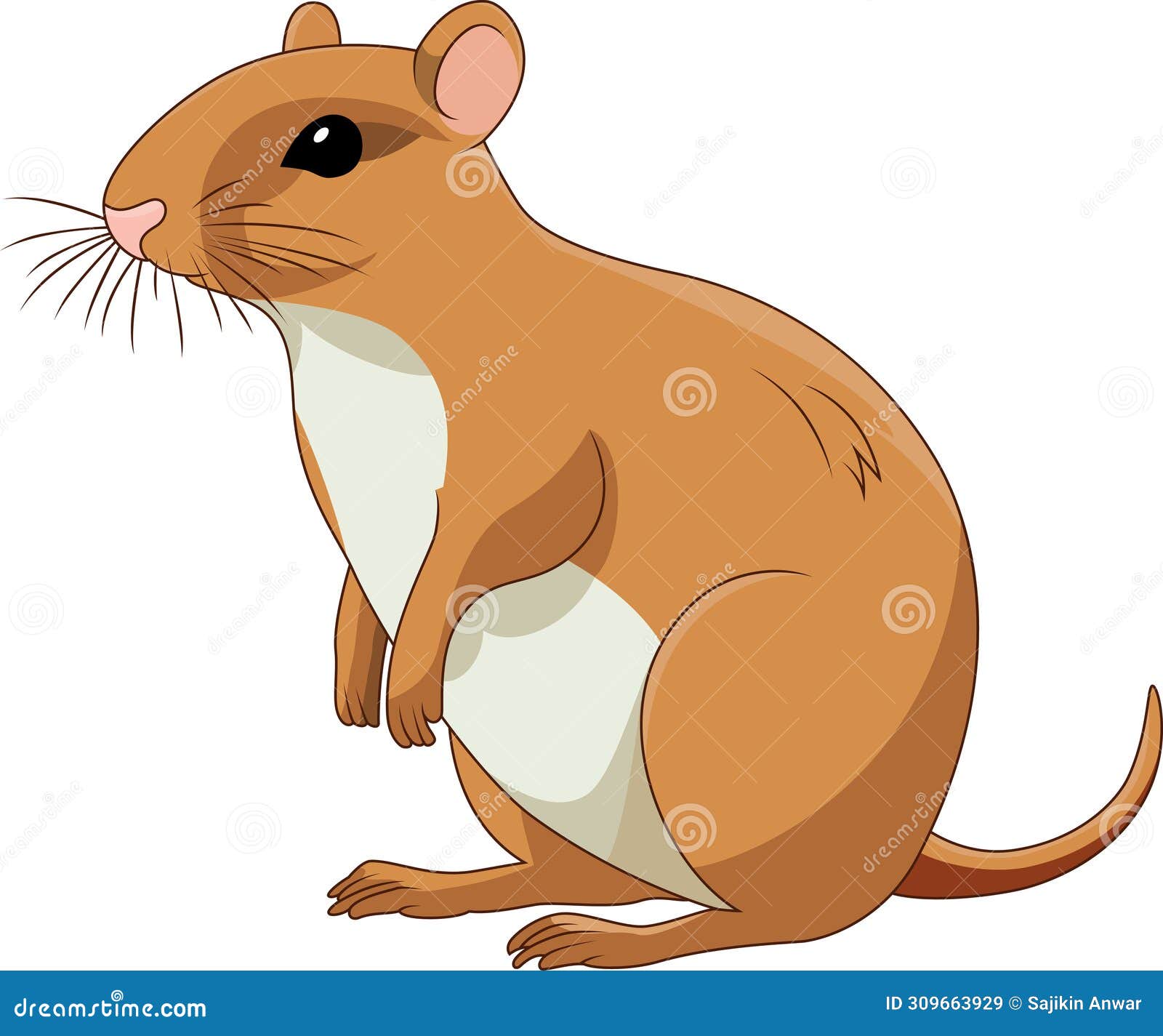 The Agouti Dasyprocta Or Long-nosed Cavy In Profile View. Illustration ...