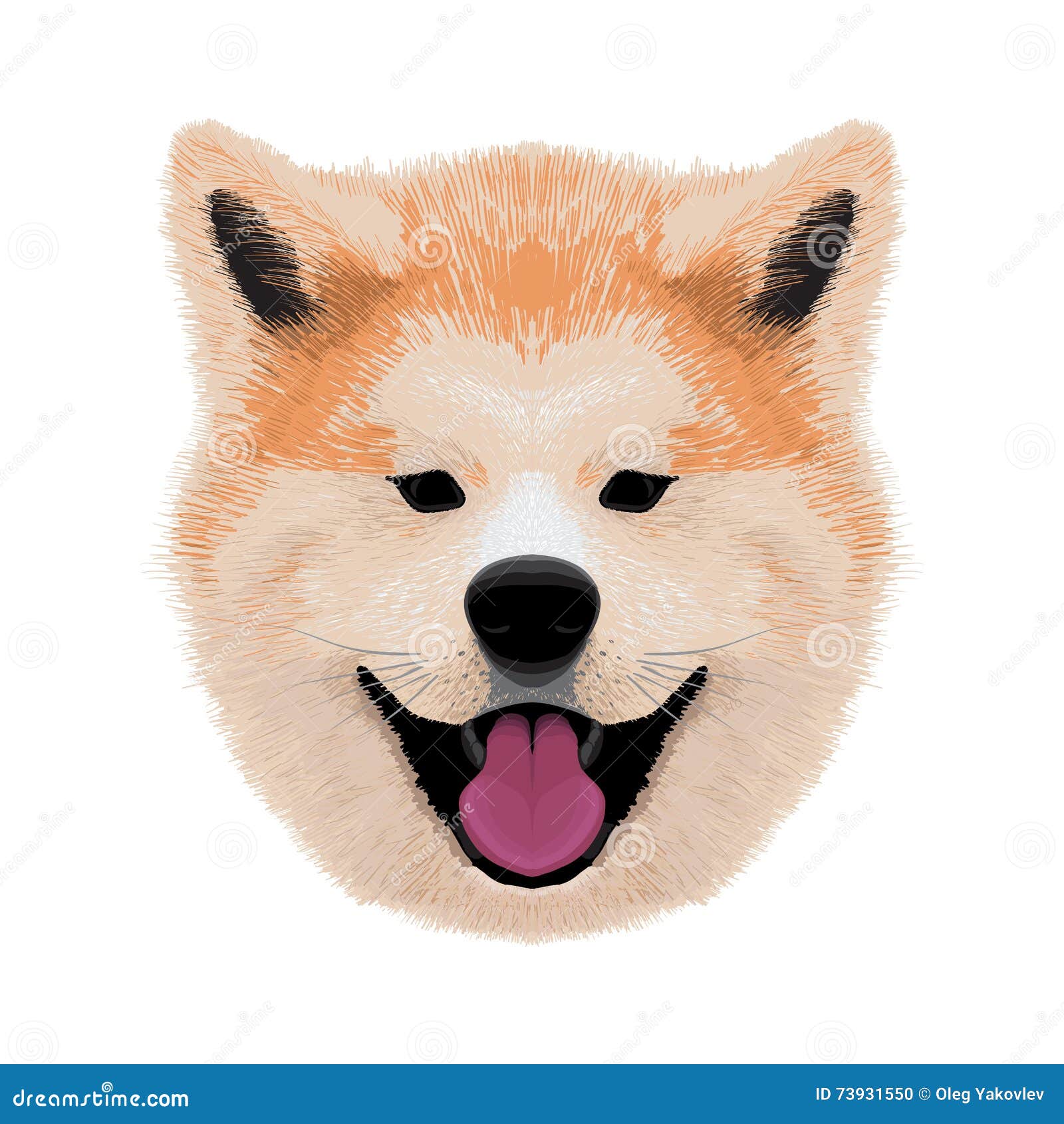 Cute Akita Inu Eating From Its Feeder. Purebred Japanese Companion Dog ...