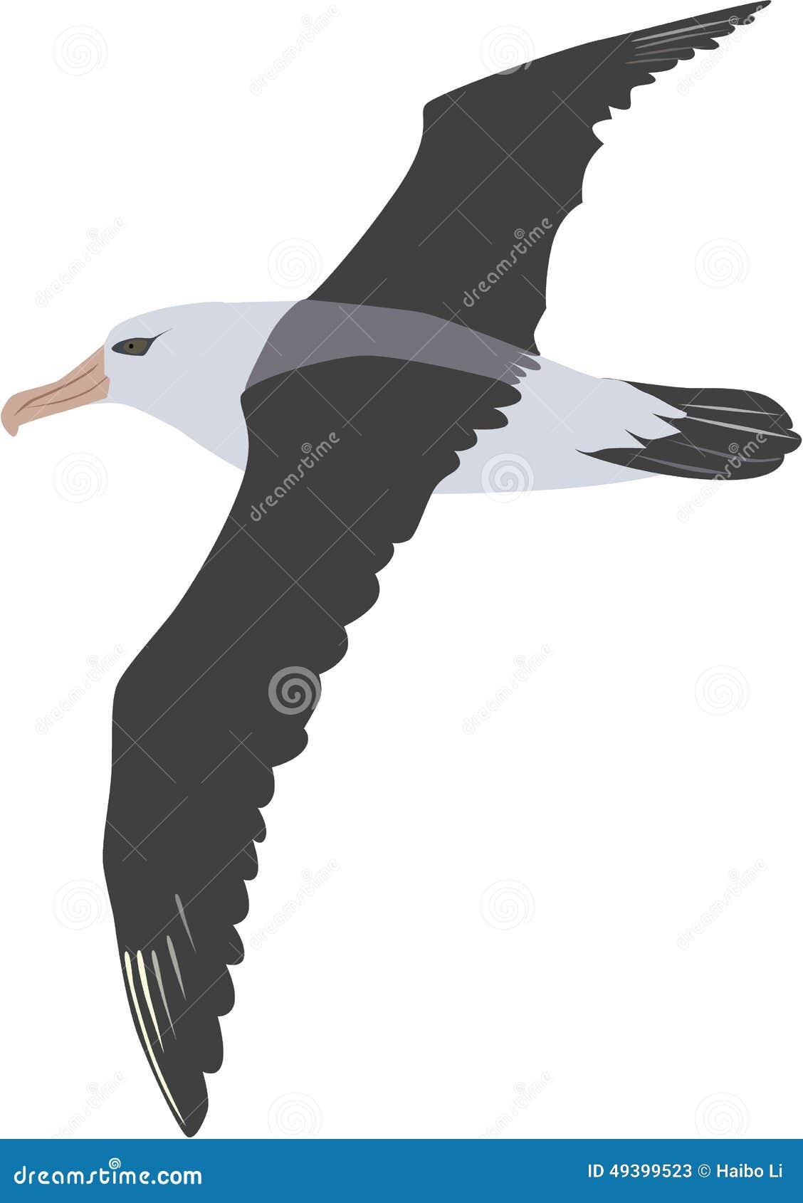 Cute albatross vector stock vector. Illustration of cartoon - 49399523