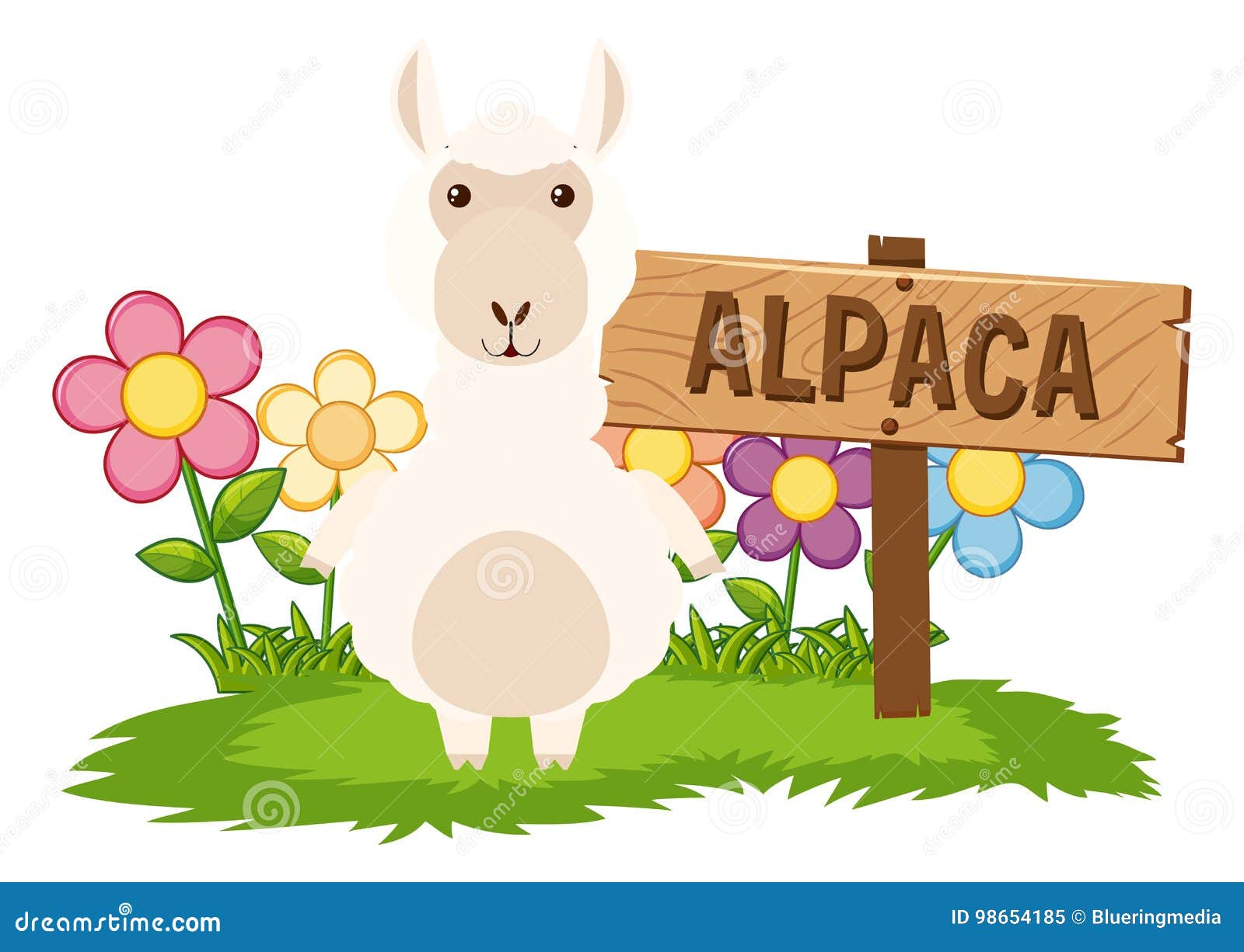 Cute Alpaca. Funny Cartoon Llama, Peru Baby Lamas And Cacti Flowers ...