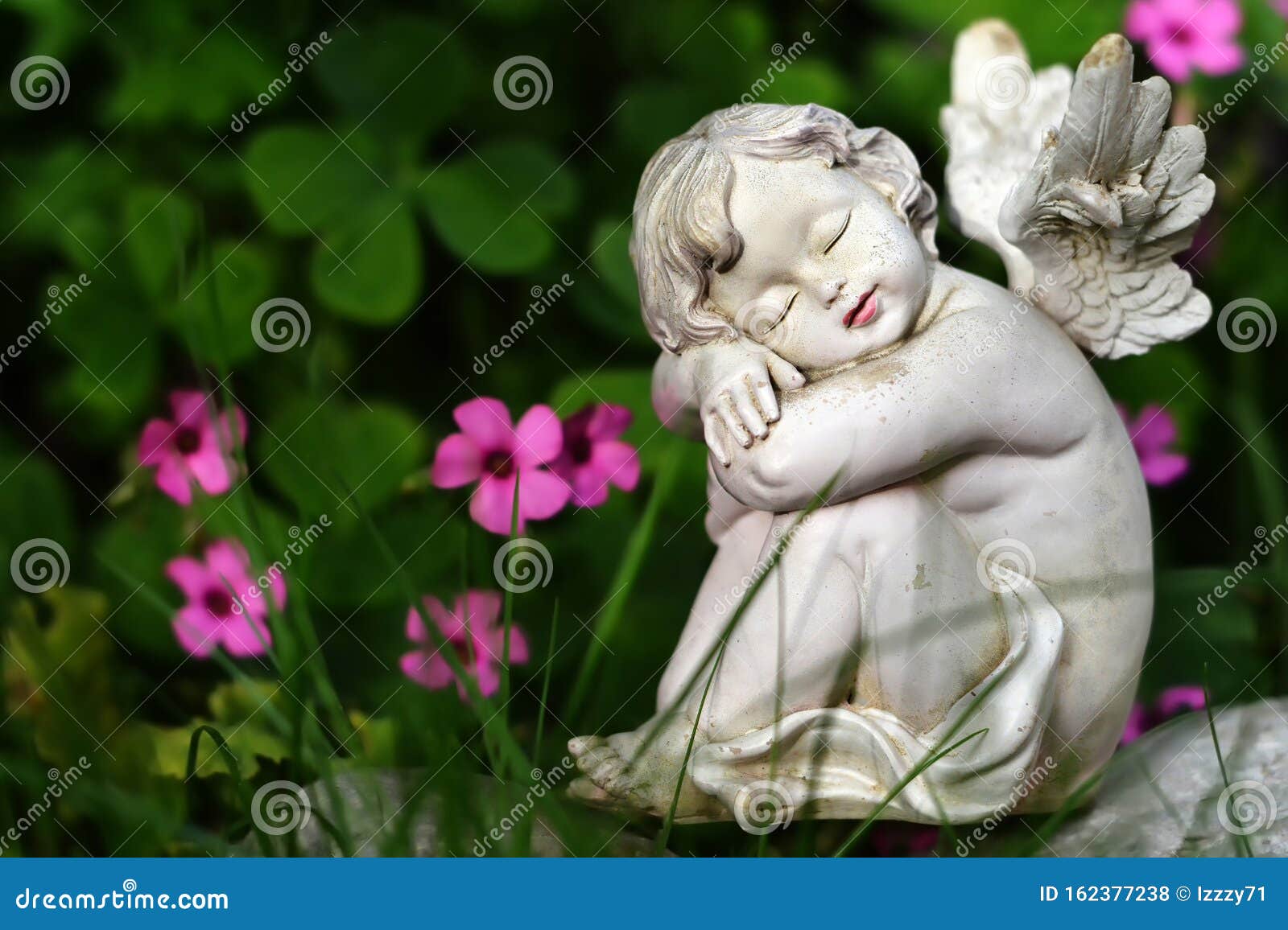 Cute Angel and Pink Flowers Stock Photo - Image of religious, green ...