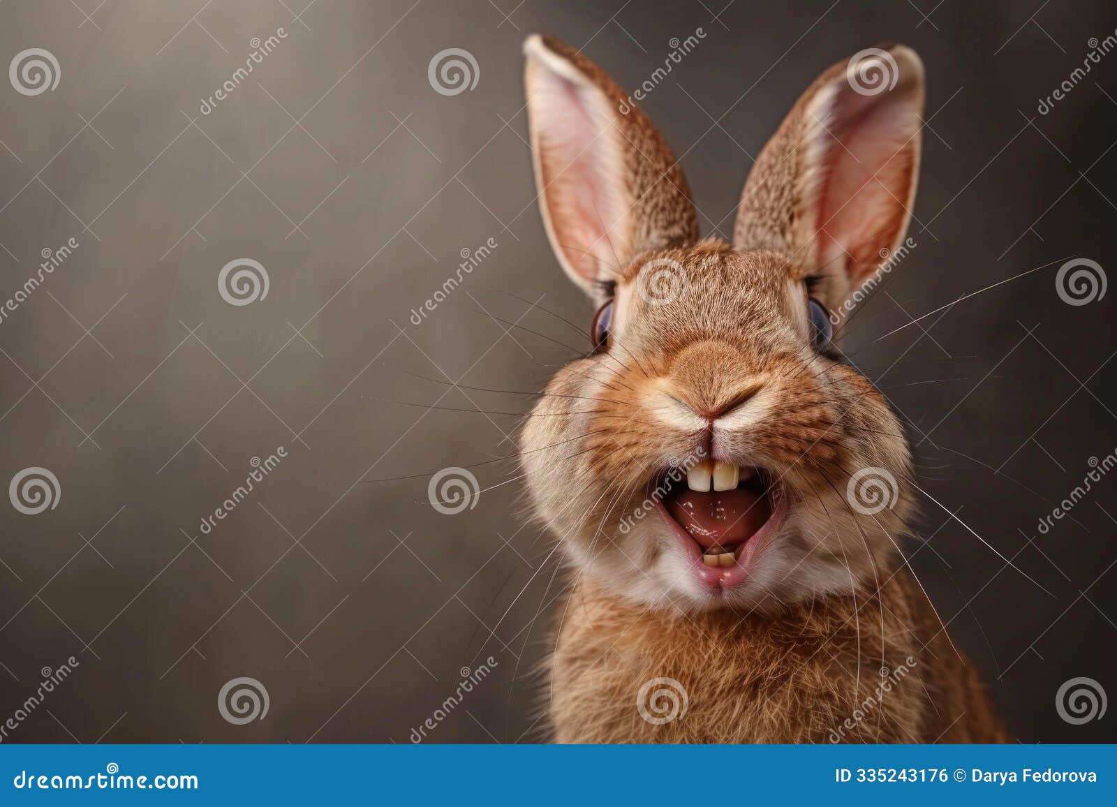 Cute Animated Bunny with Big Ears and Happy Expression Stock ...