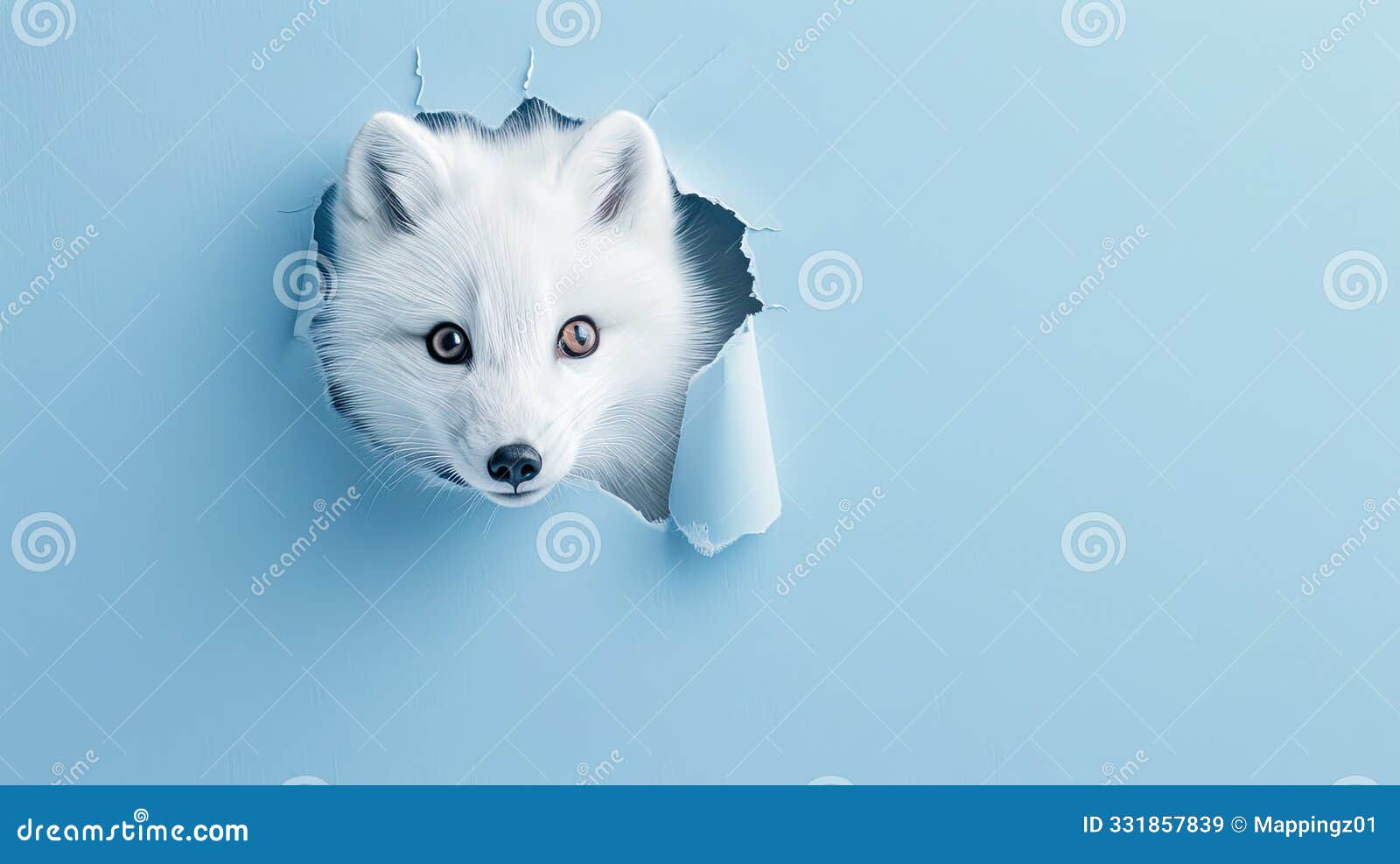 Cute Arctic Fox Peeking through a Hole Stock Illustration ...