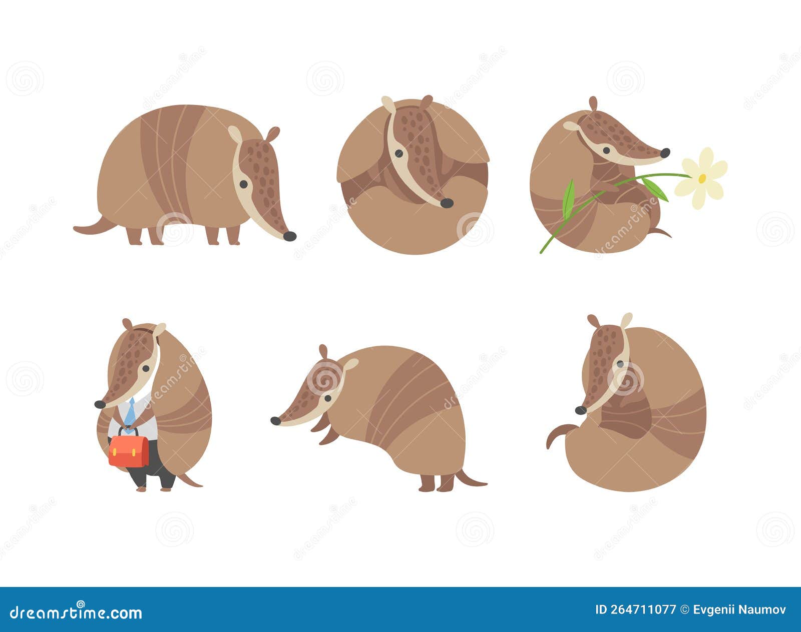 Cute Armadillo Character with Armor Shell Engaged in Different Activity ...