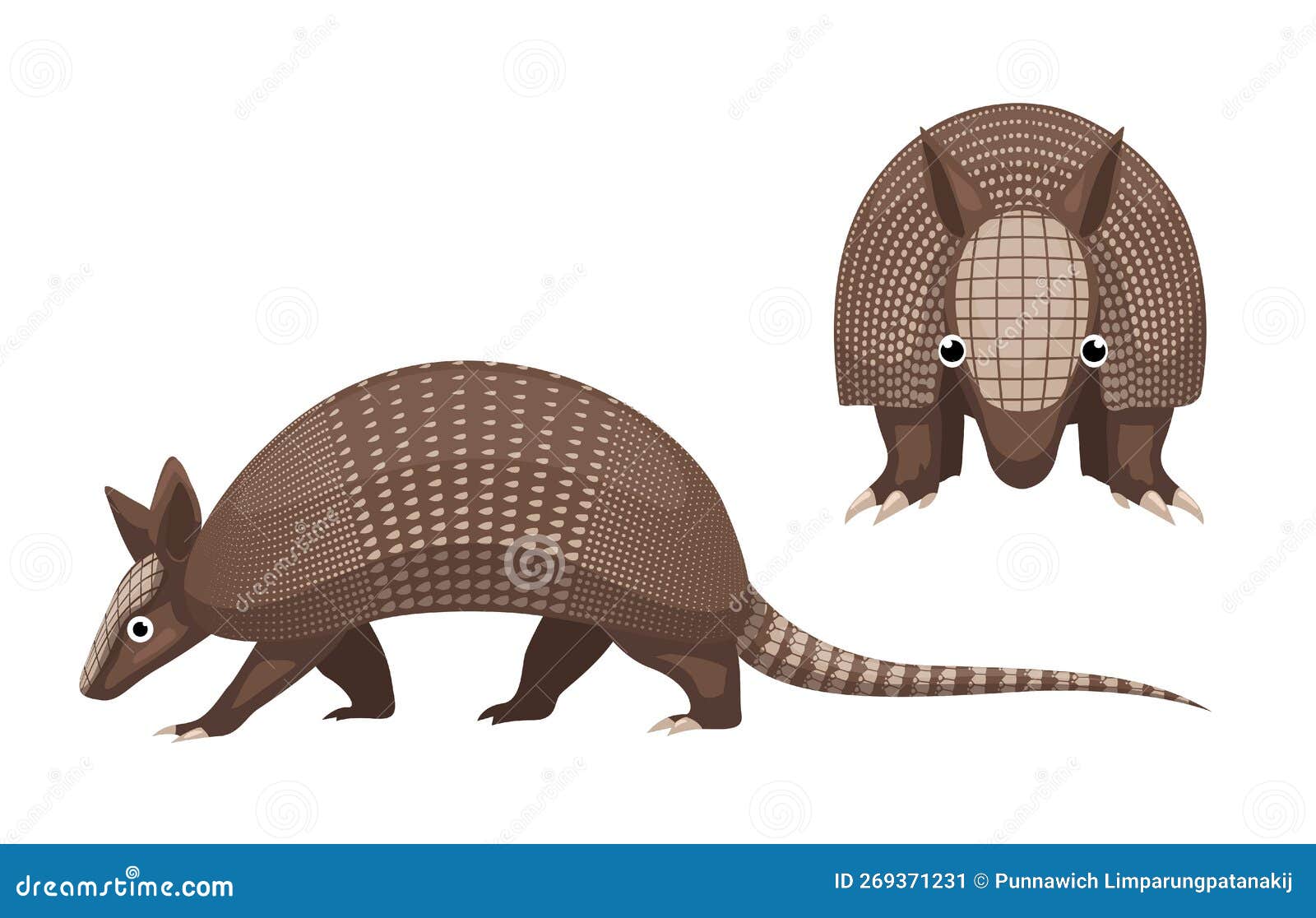 Cute Armadillo Front Side Cartoon Vector Character Stock Vector ...