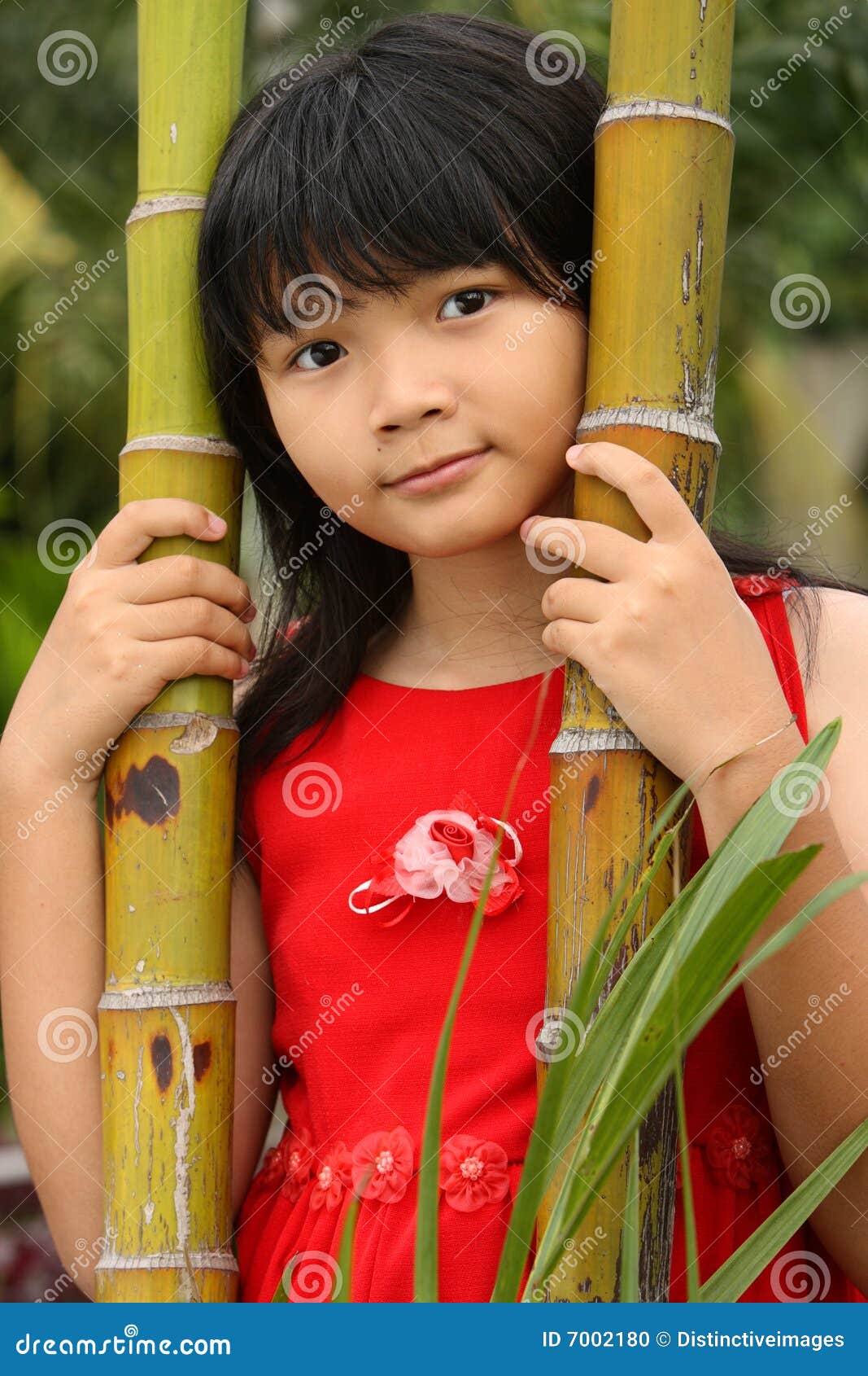 Cute Asian Child stock photo. Image of happiness, childhood - 7002180