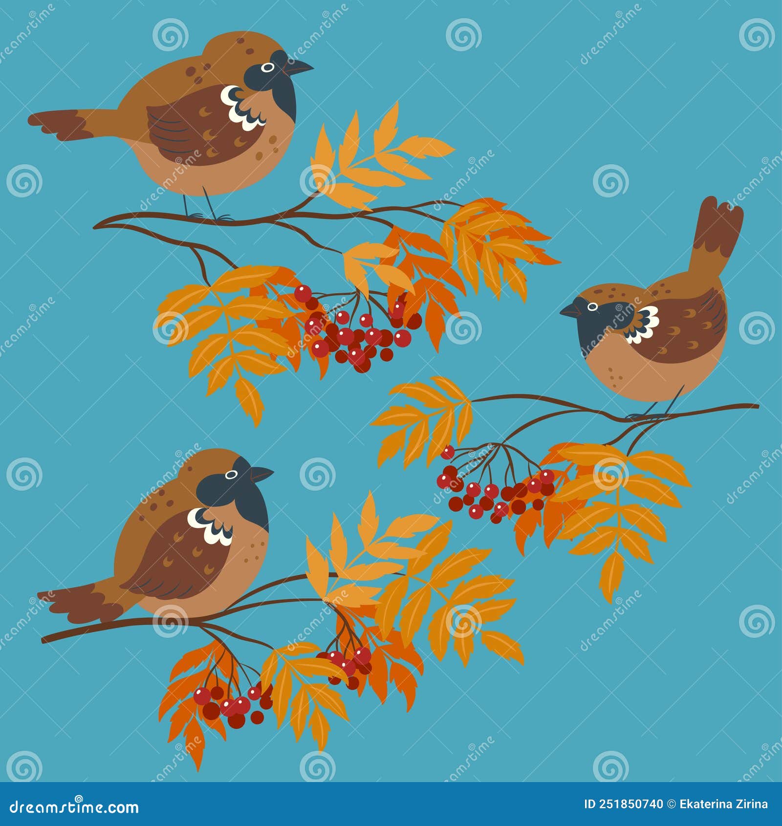 Cute Autumn Sparrows Sitting on Rowan Branches. Vector Graphics Stock ...
