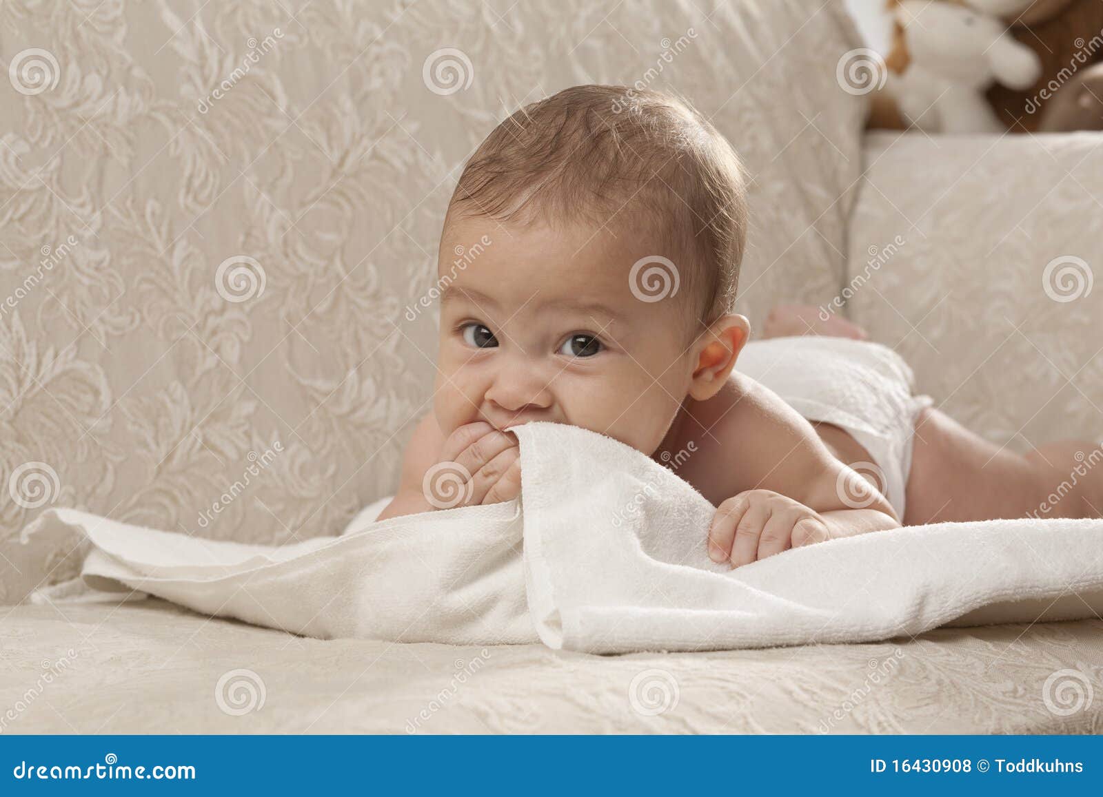 Cute Baby stock photo. Image of soft, cute, care, face - 16430908