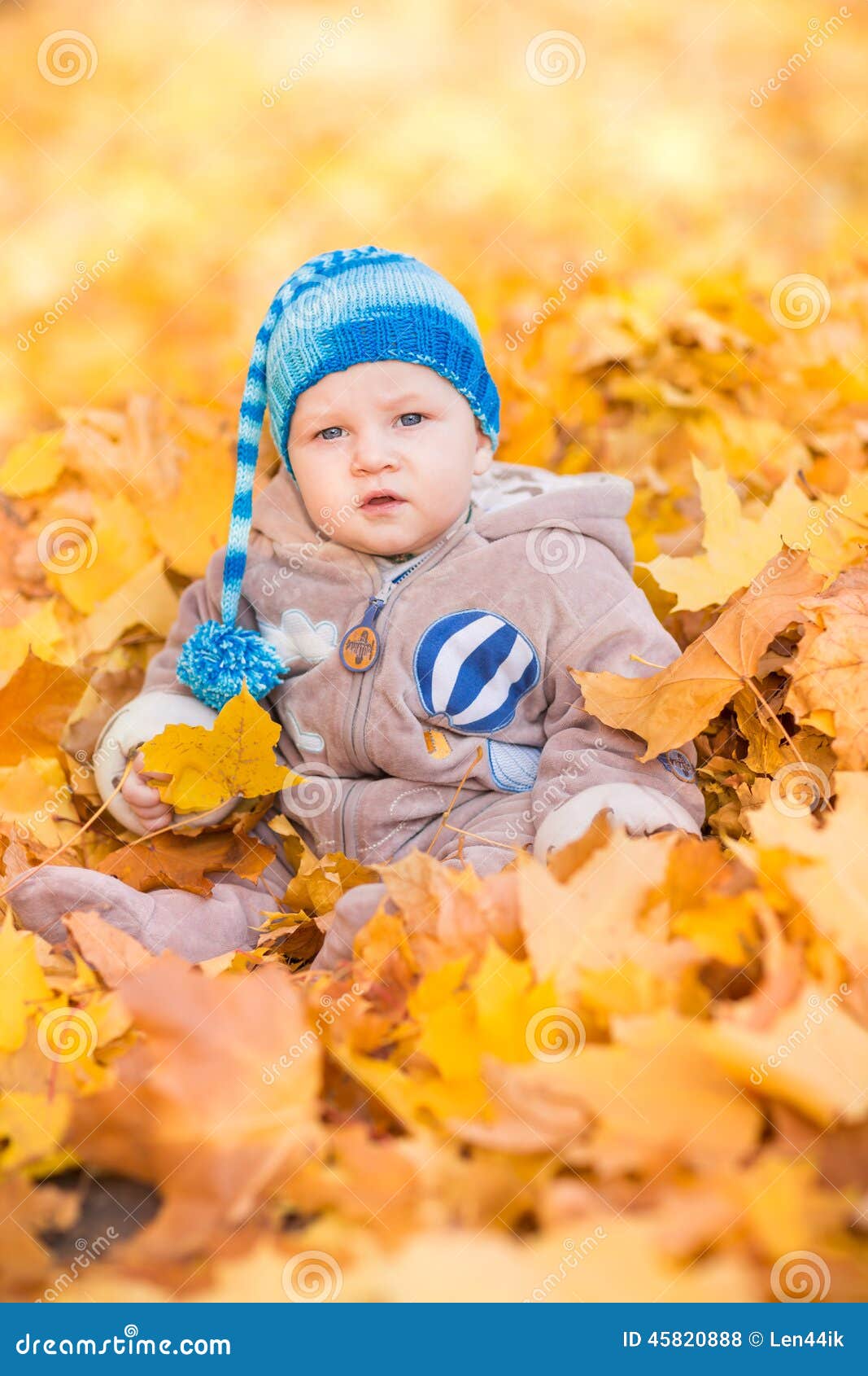 Cute Baby in Autumn Leaves. Stock Photo - Image of caucasian, nature ...
