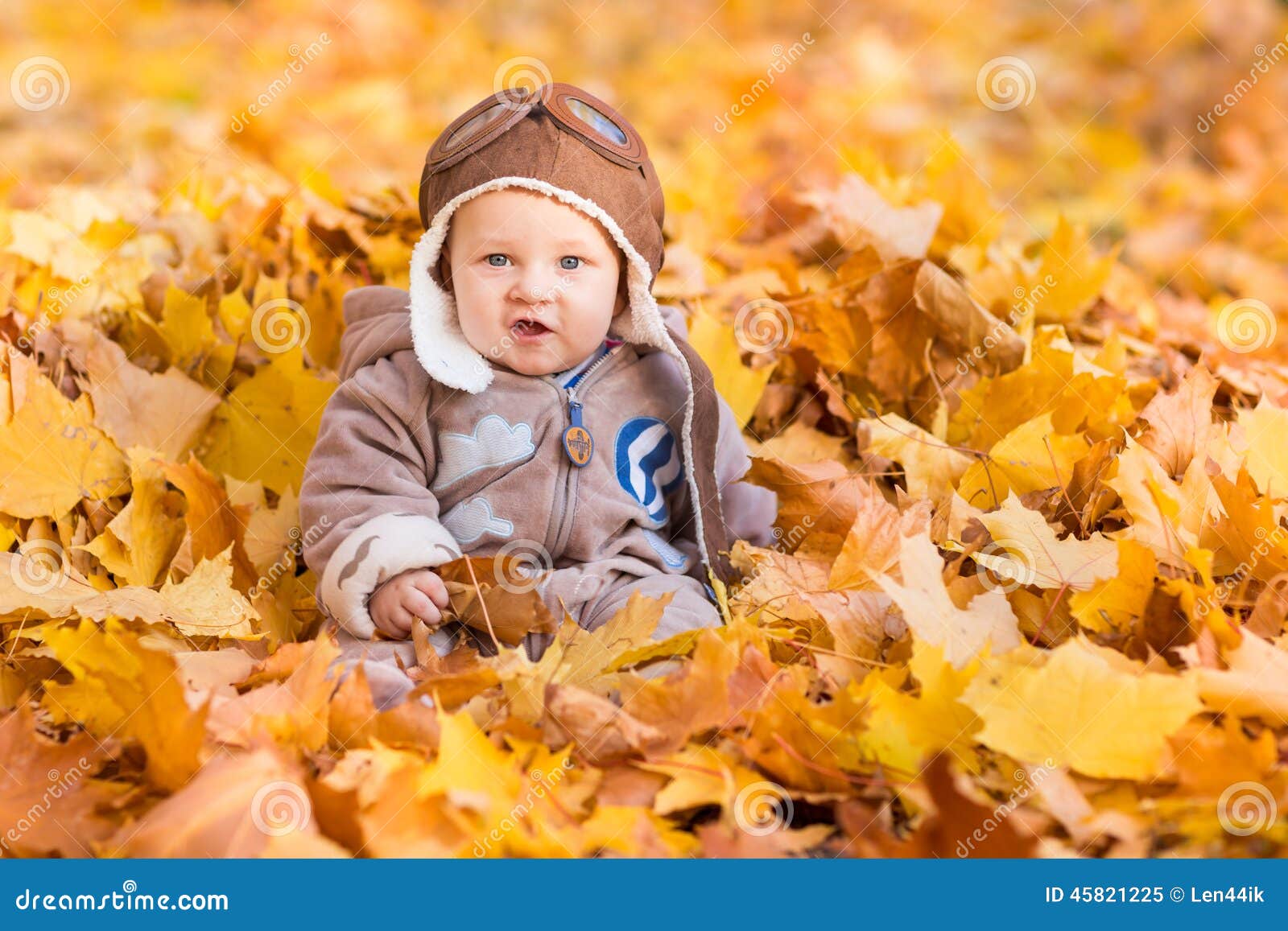 Cute Baby in Autumn Leaves. Stock Image - Image of girl, outdoor: 45821225