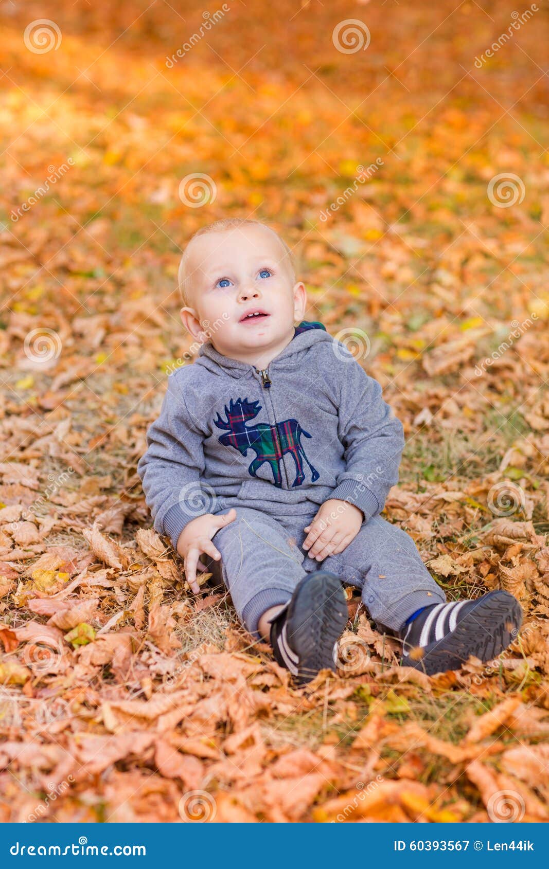 Cute Baby in Autumn Leaves. Stock Image - Image of leaves, babies: 60393567