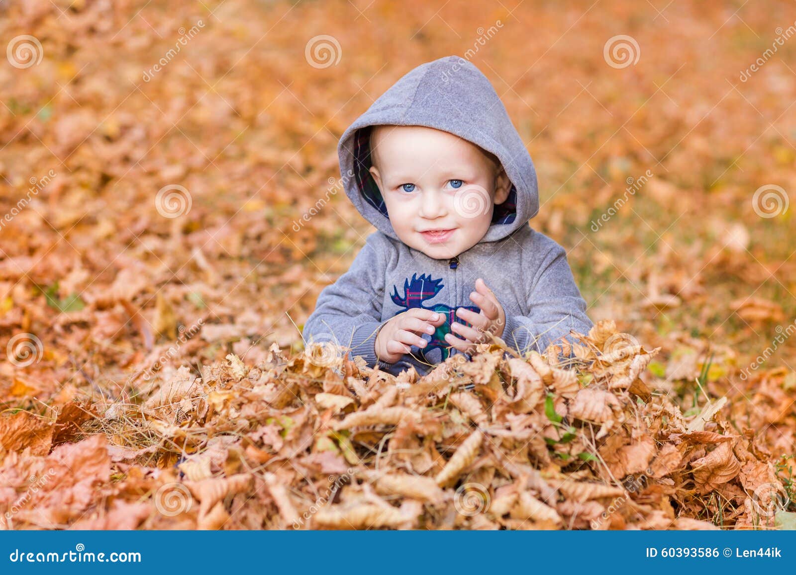 Cute Baby in Autumn Leaves. Stock Photo - Image of lifestyle, beautiful ...