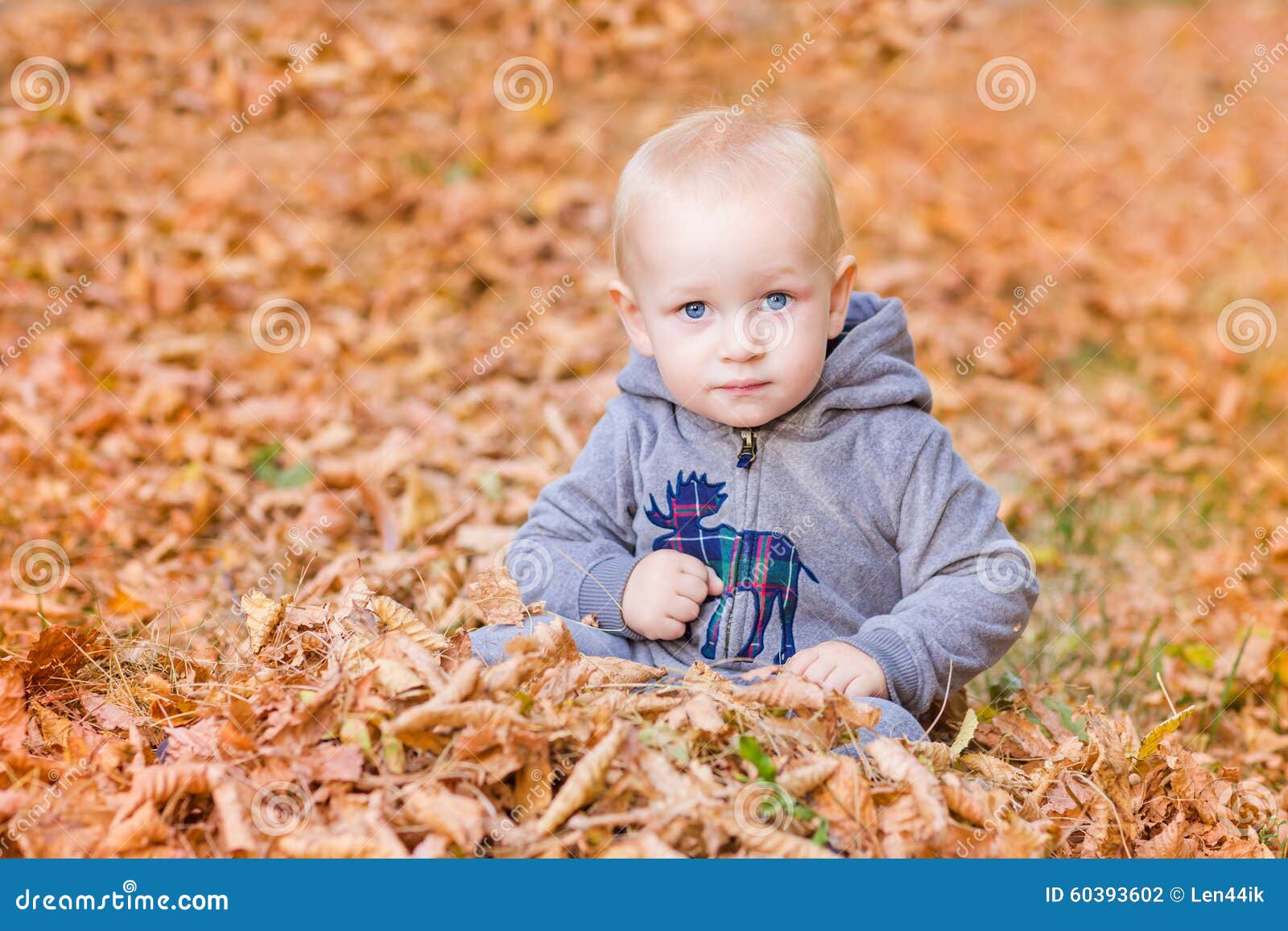 Cute Baby in Autumn Leaves. Stock Photo - Image of girl, portrait: 60393602