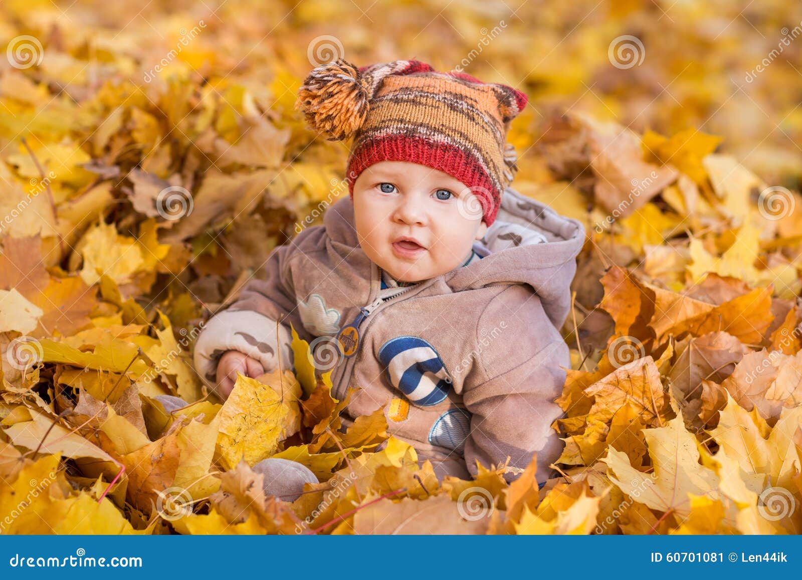 Cute Baby in Autumn Leaves. Stock Image - Image of little, child: 60701081