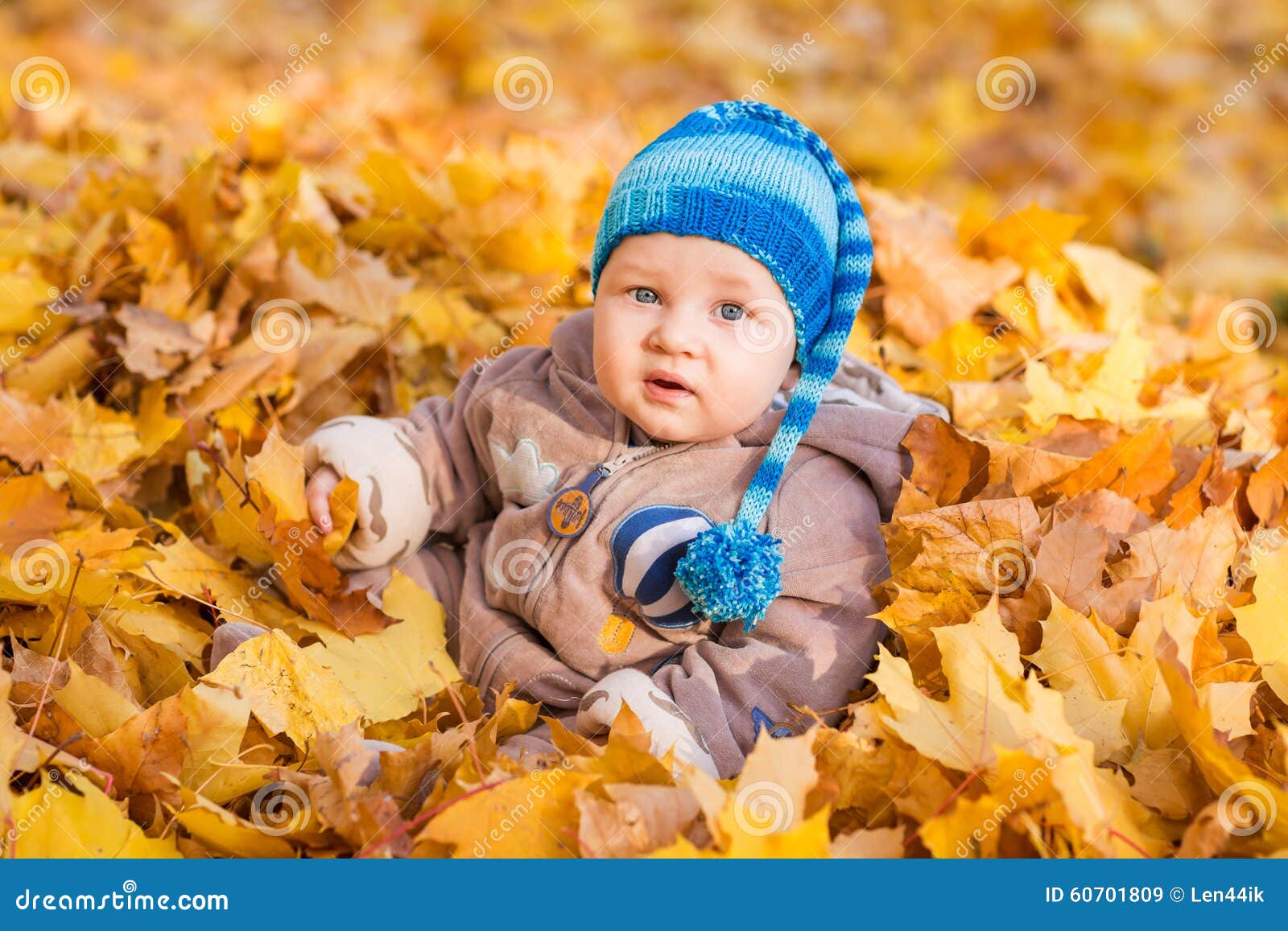 Cute Baby in Autumn Leaves. Stock Image - Image of family, funny: 60701809