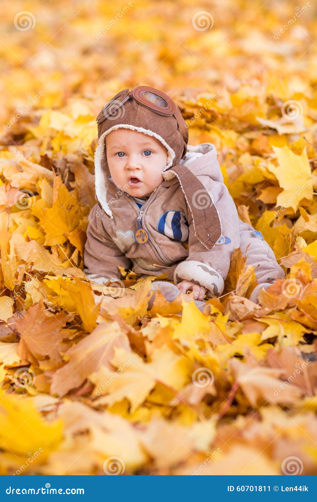Cute Baby in Autumn Leaves. Stock Image - Image of happiness, family ...