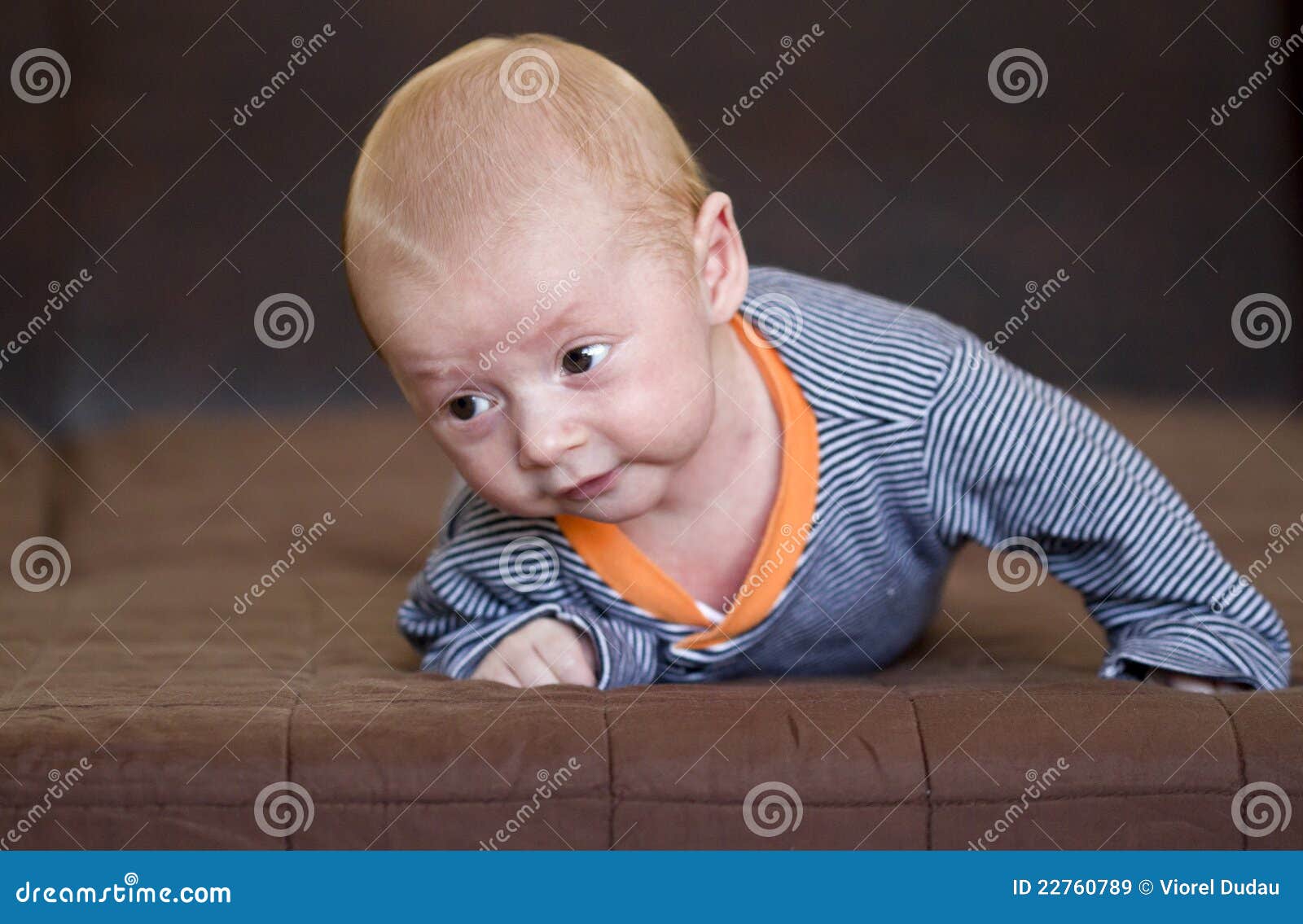 Cute baby boy crawling stock image. Image of cosy, brown - 22760789