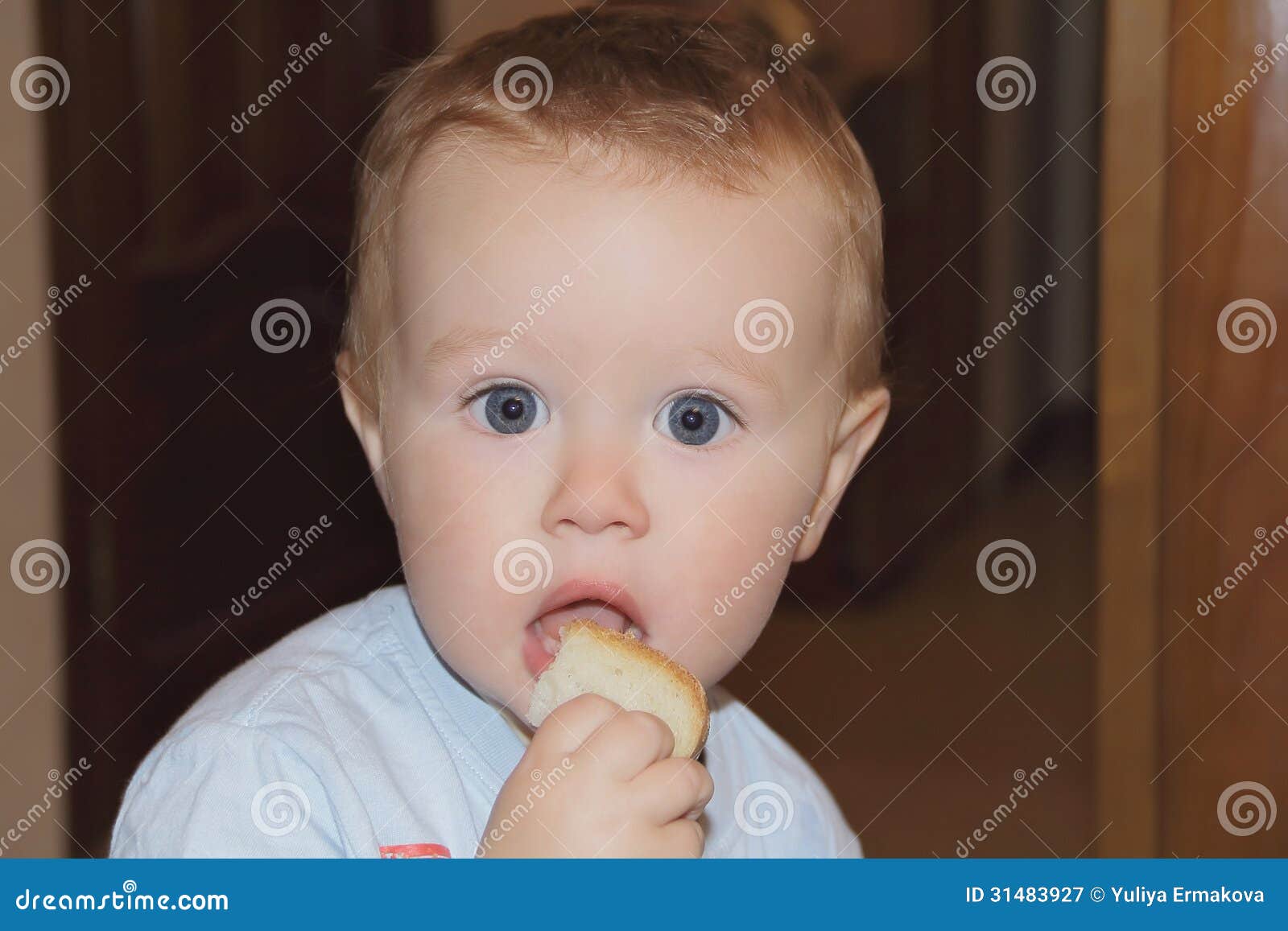 Cute baby boy eating bread stock image. Image of baby - 31483927